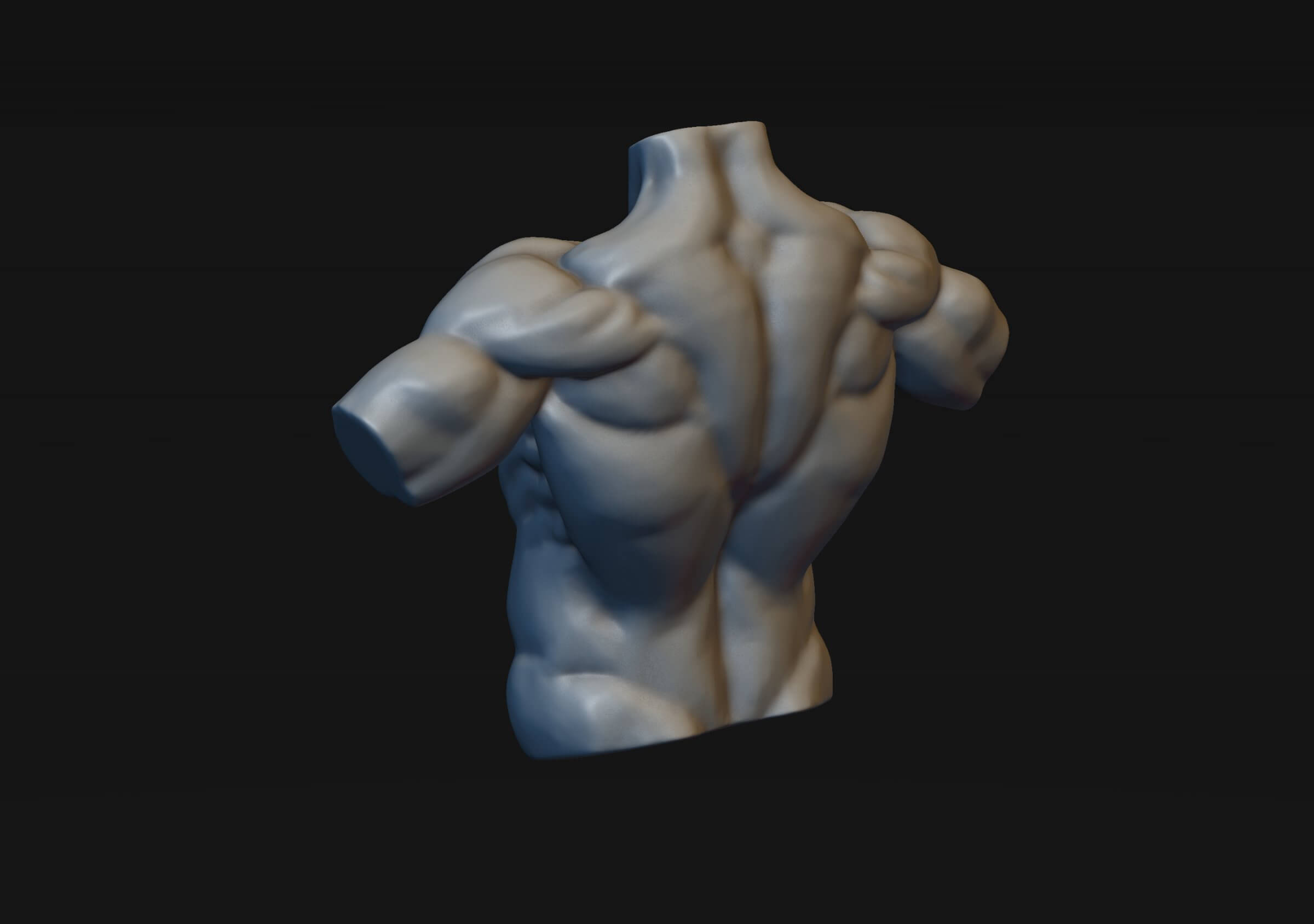 Male Torso - 3D Model by alexkovalev