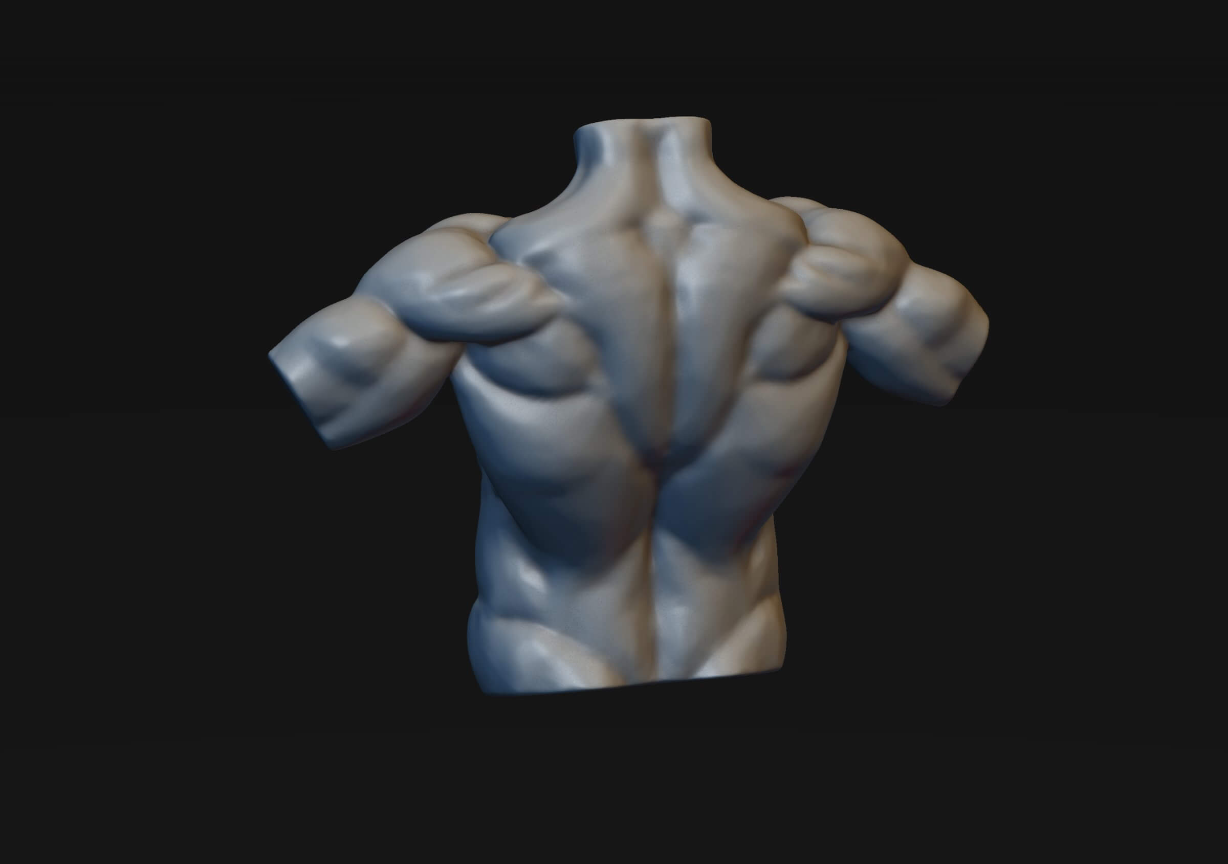 Male Torso - 3D Model by alexkovalev