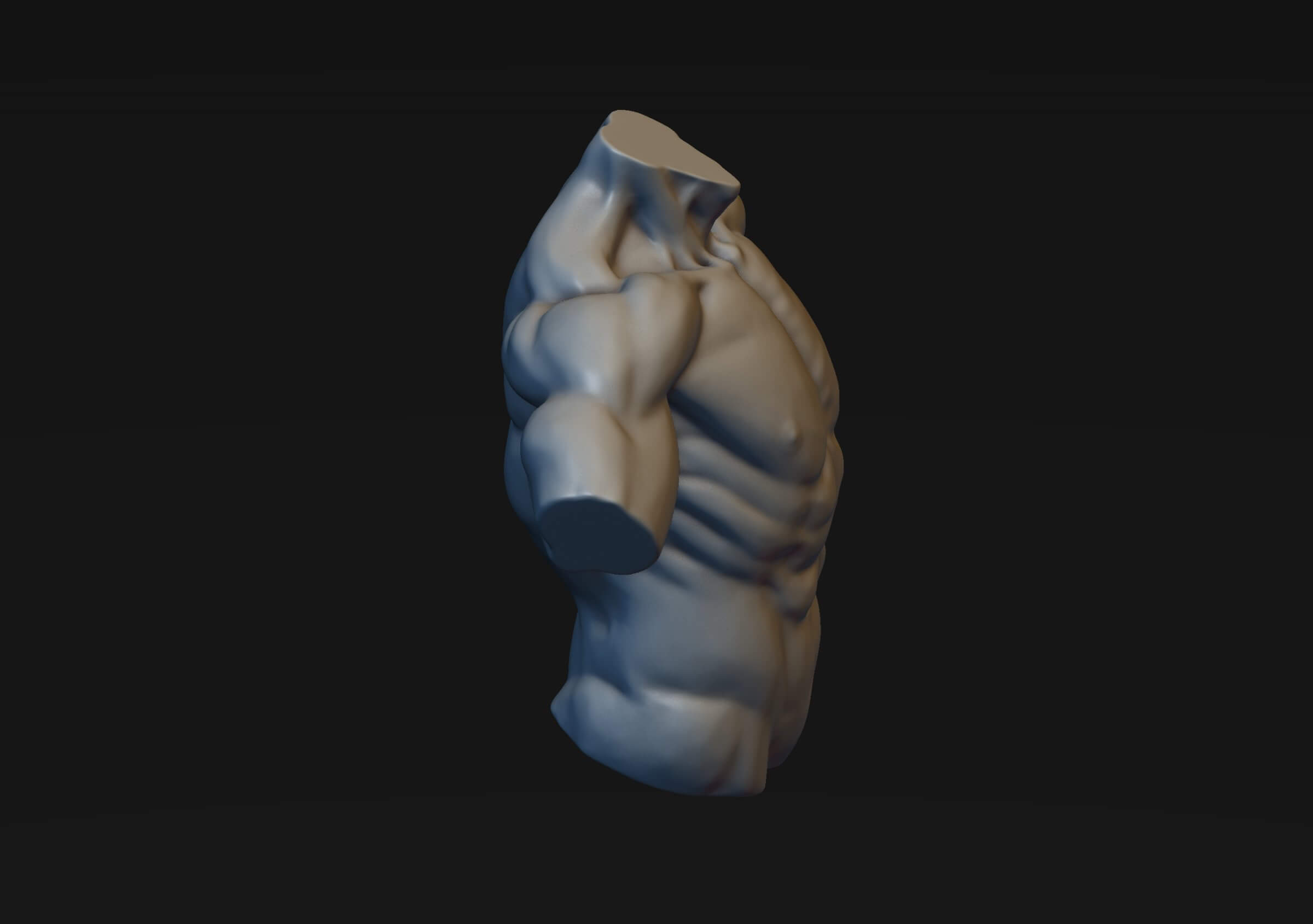 Male Torso - 3D Model by alexkovalev