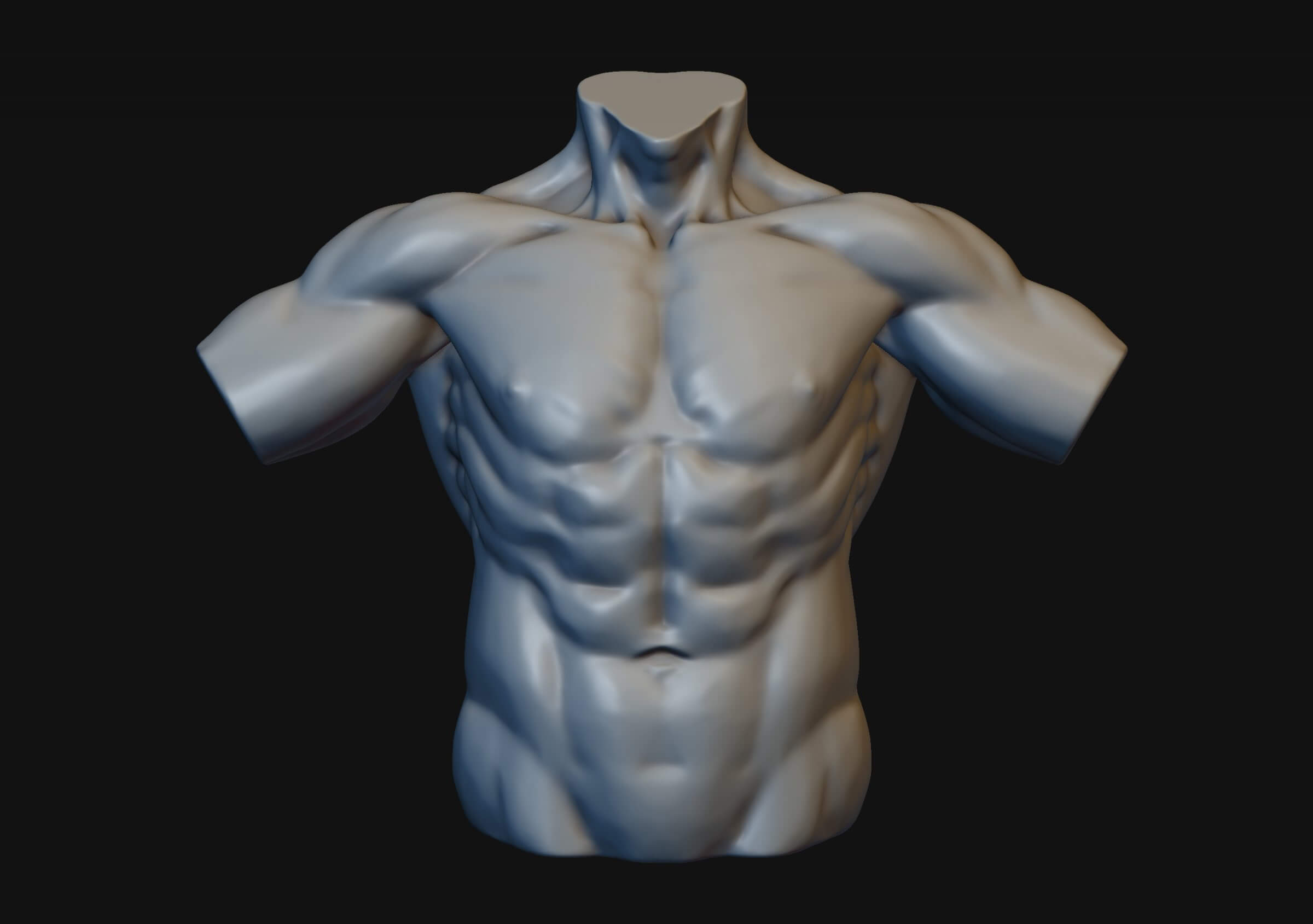 Male Torso - 3D Model by alexkovalev