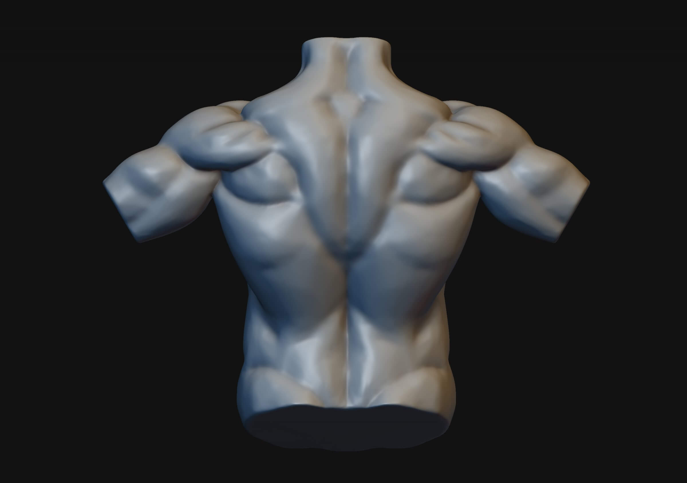 Male Torso - 3D Model by alexkovalev