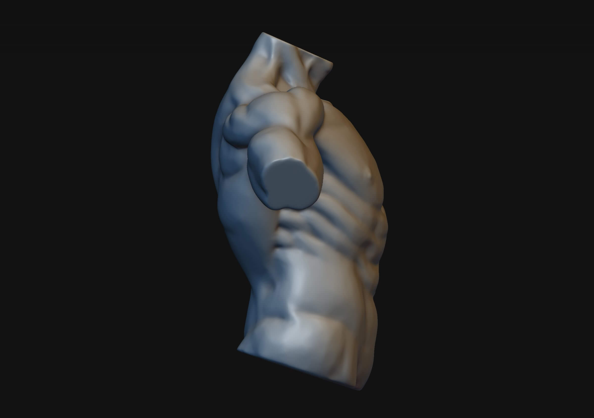 Male Torso - 3D Model by alexkovalev
