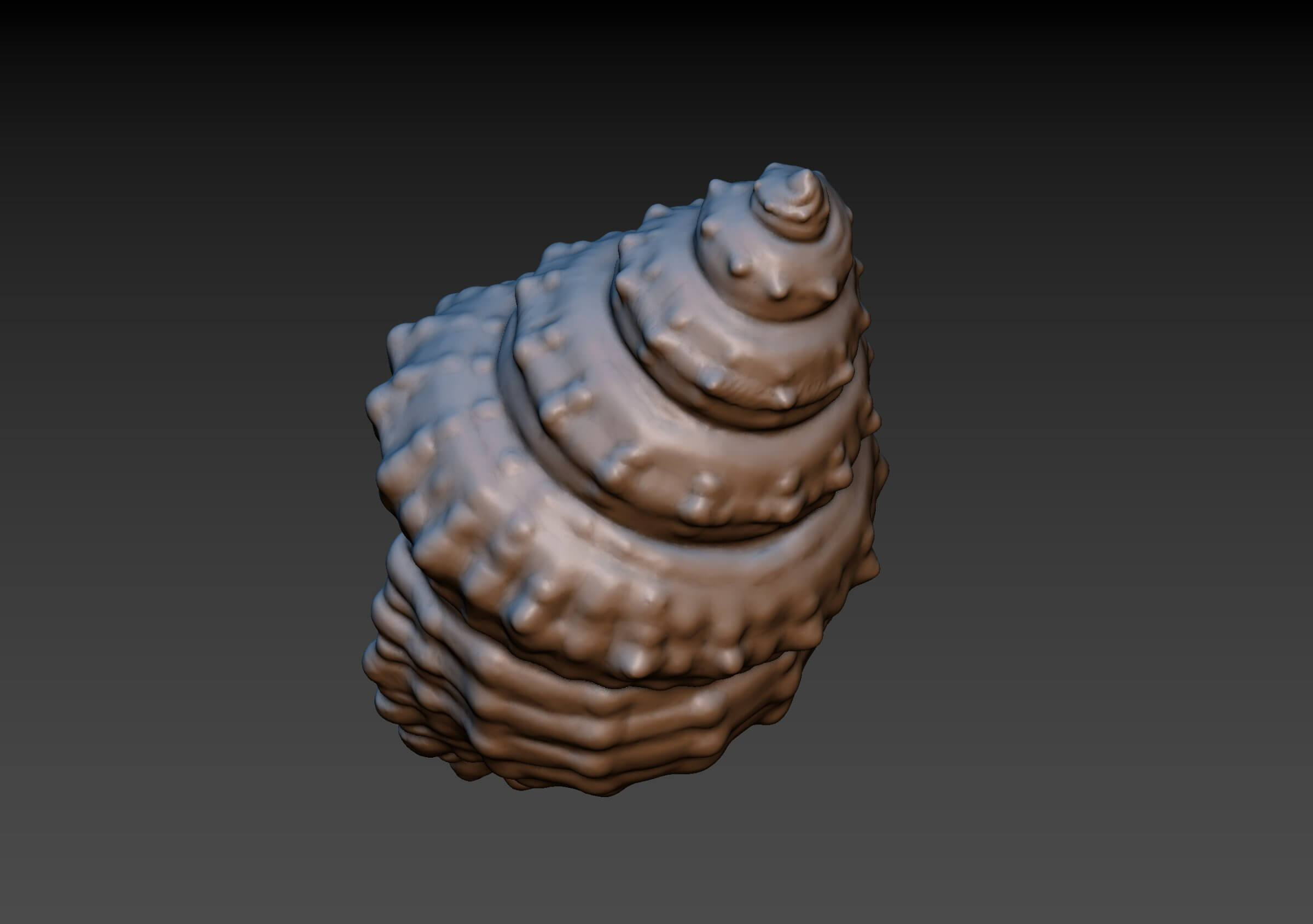 Seashell - 3D Model by alexkovalev
