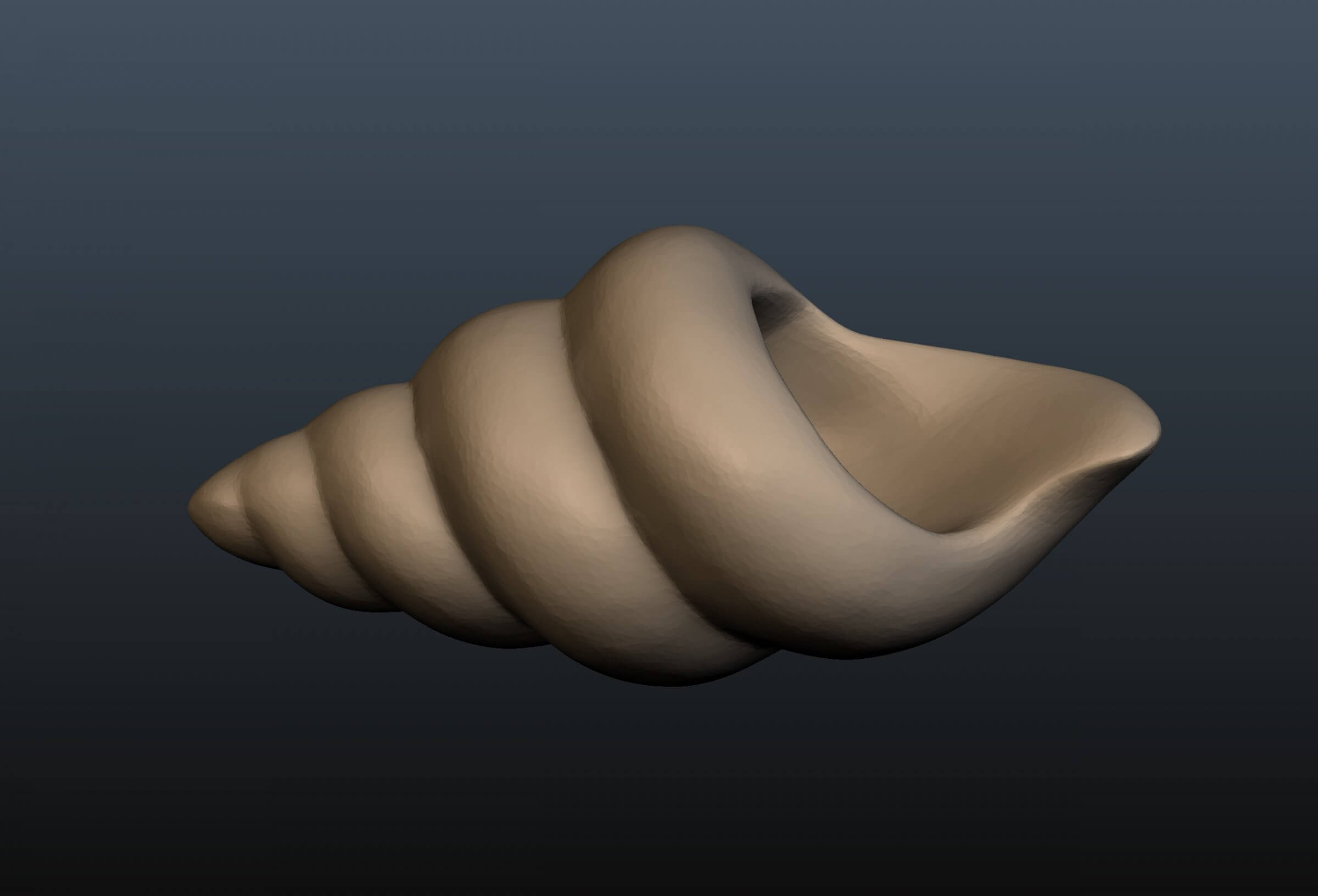 Seashell - 3D Model by alexkovalev