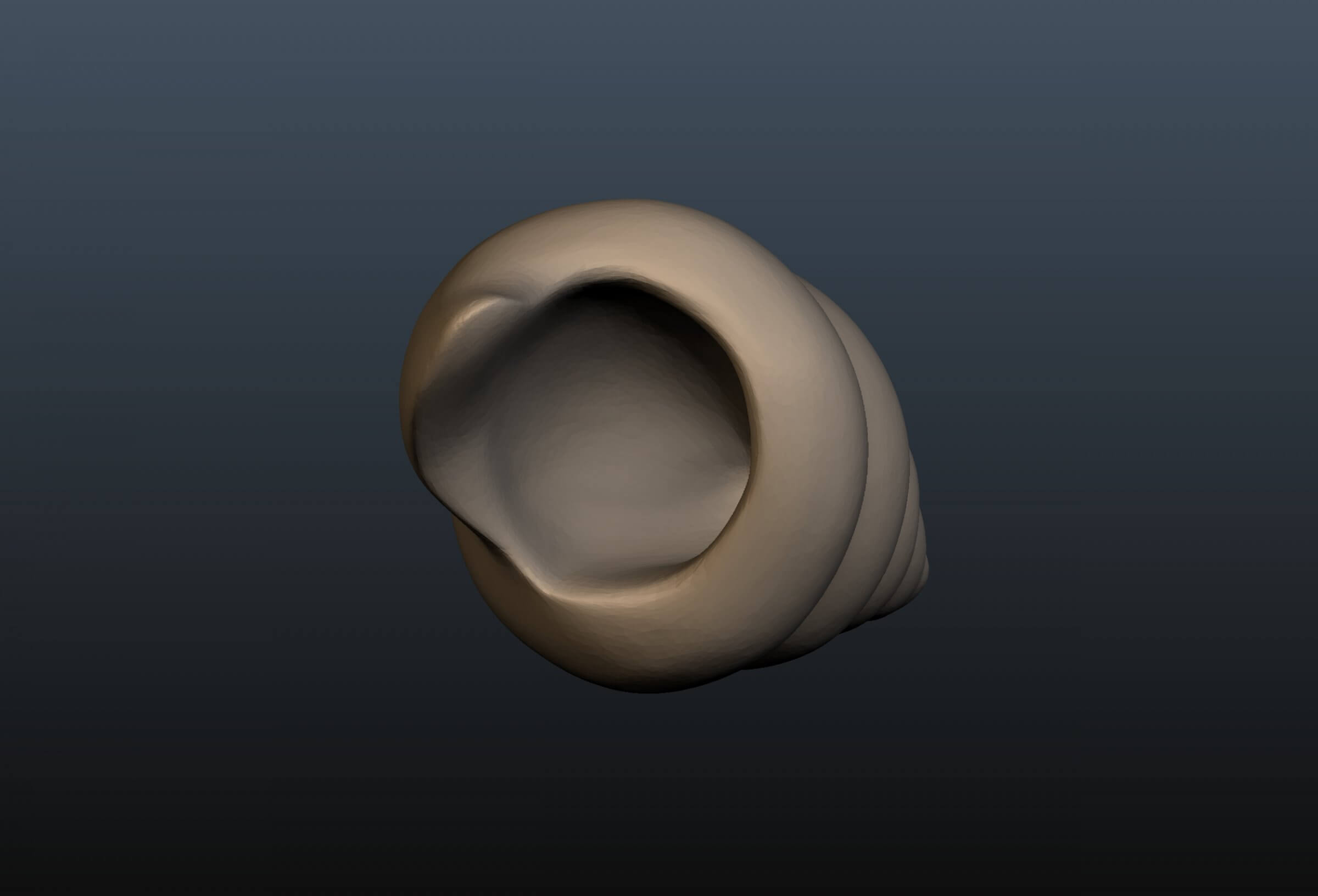 Seashell - 3D Model by alexkovalev