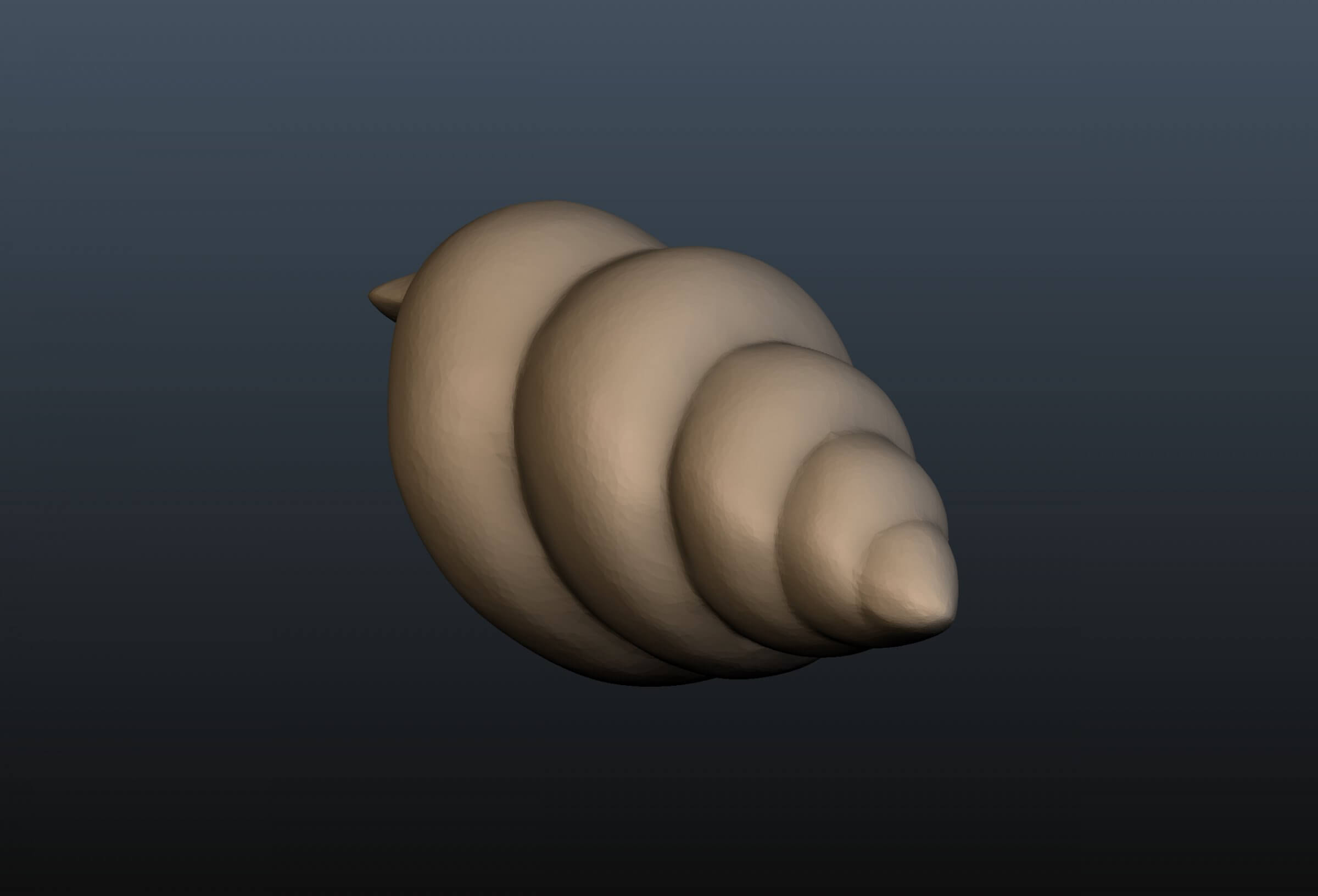 Seashell - 3D Model by alexkovalev