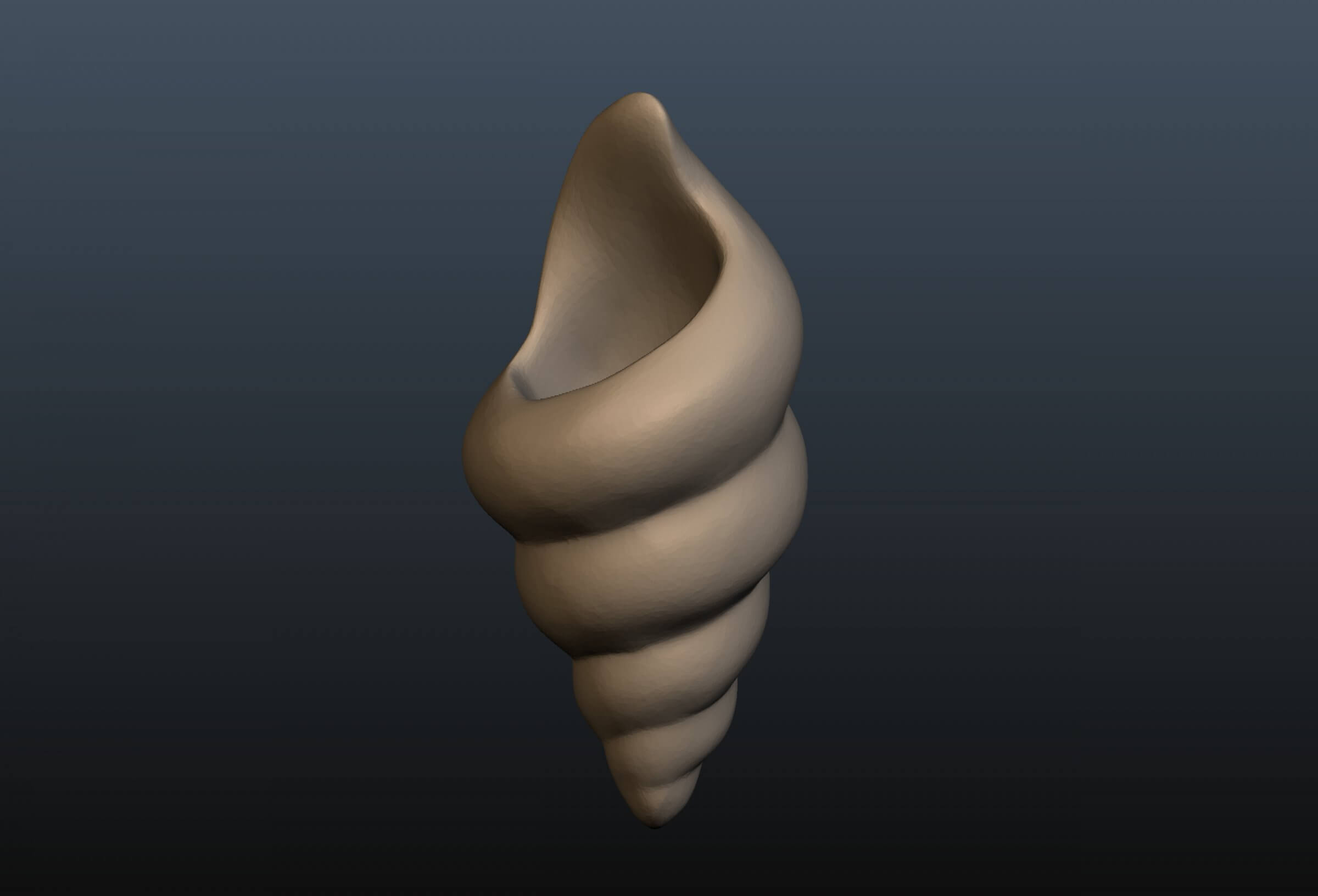 Seashell - 3D Model by alexkovalev