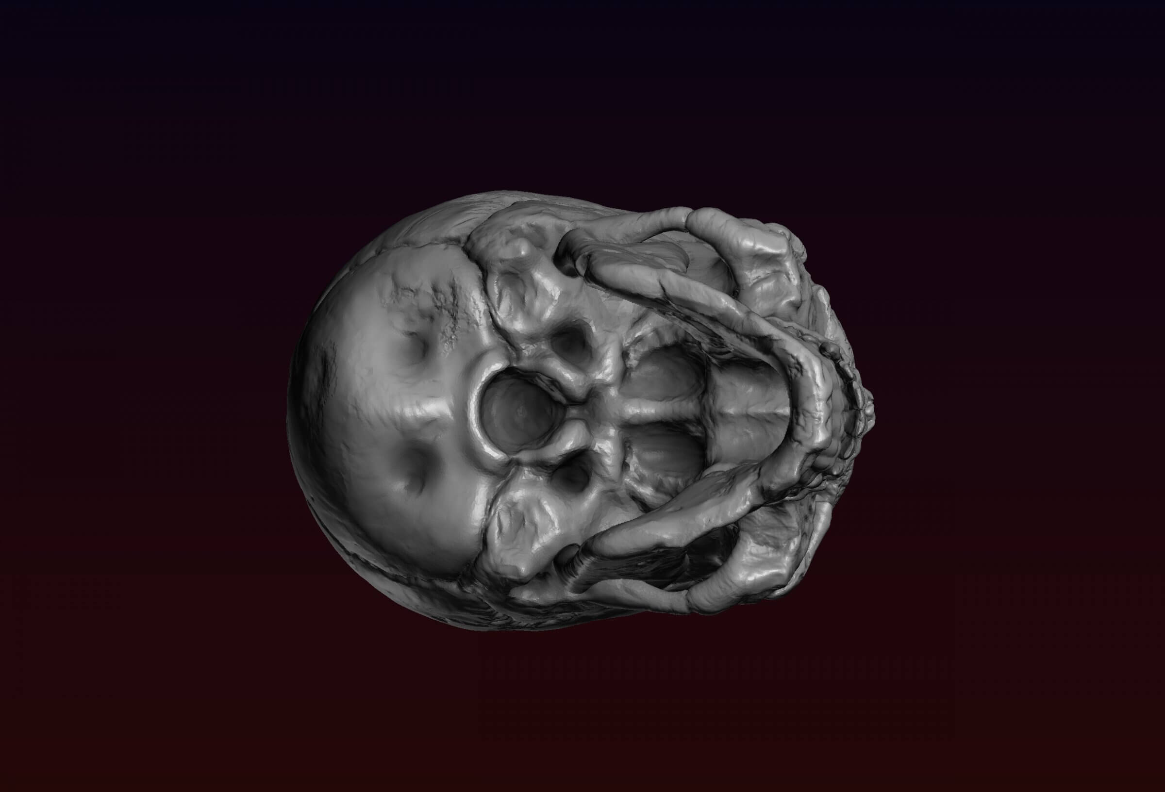 Skull Detailed - 3D Print Model by alexkovalev