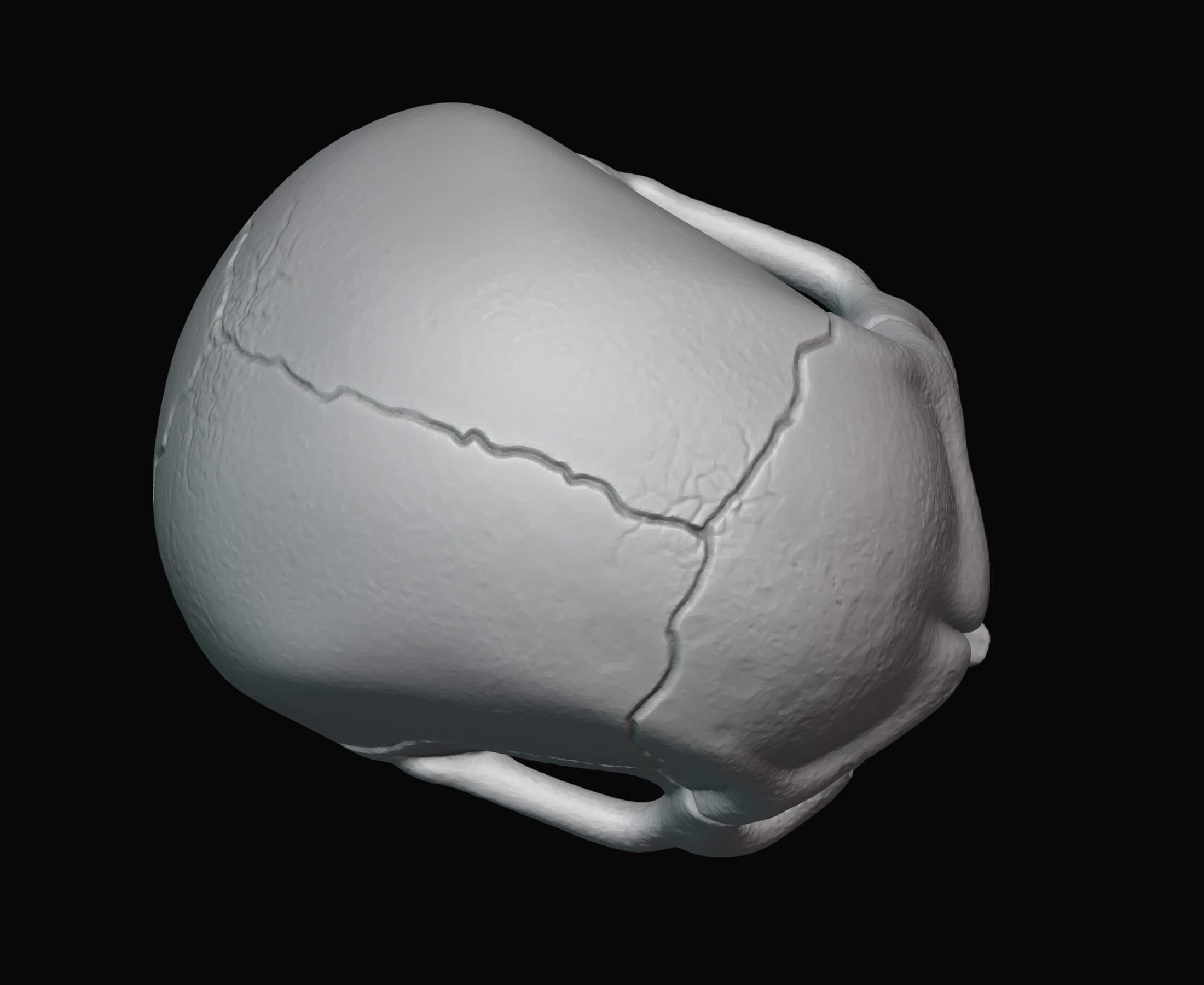 Skull Stylized - 3D Model by alexkovalev