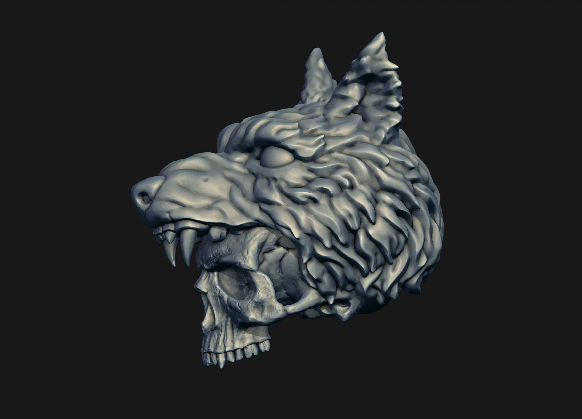 Skull Wolf Scalp - 3D Model by alexkovalev