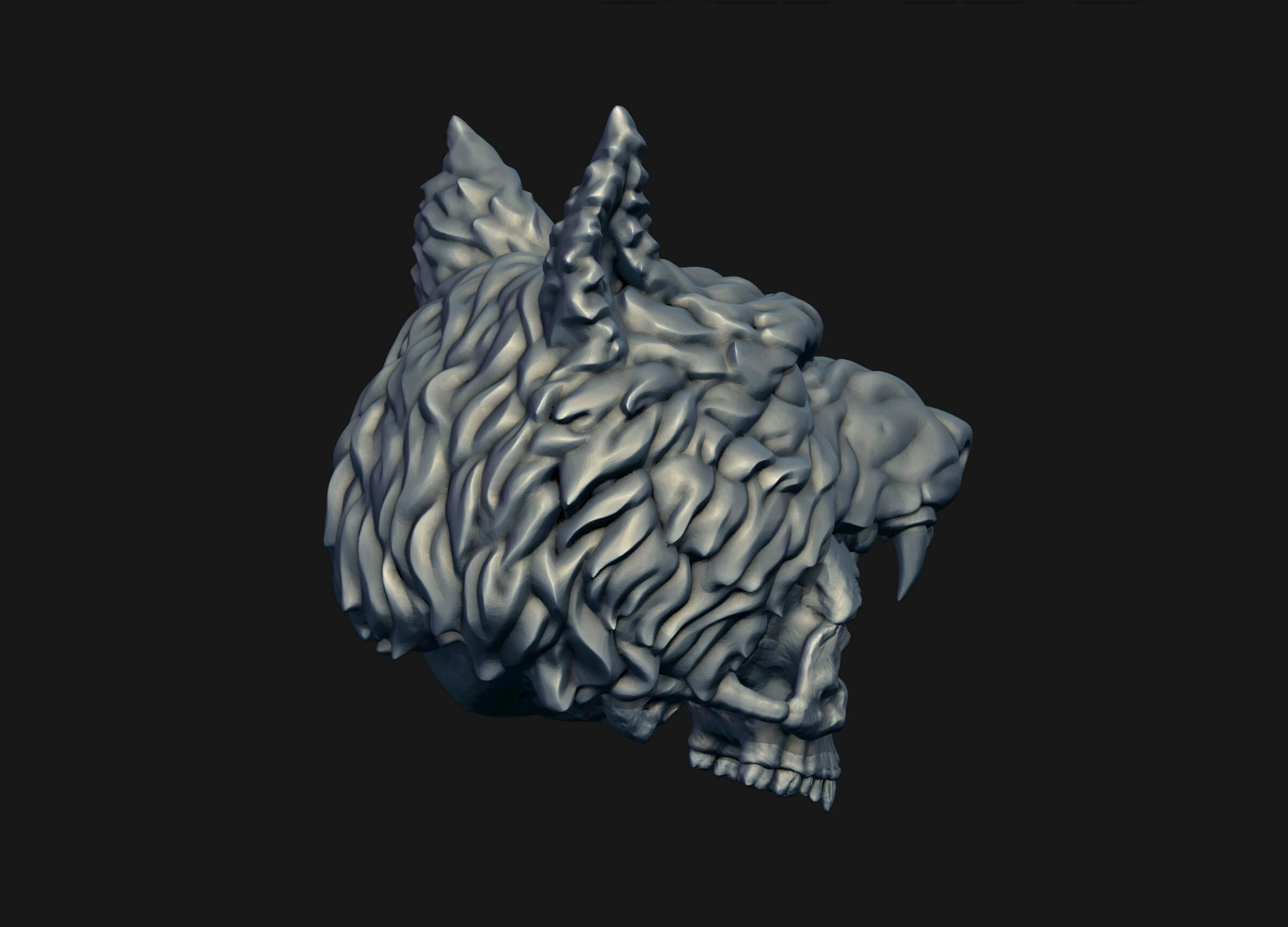 Skull Wolf Scalp - 3D Model by alexkovalev