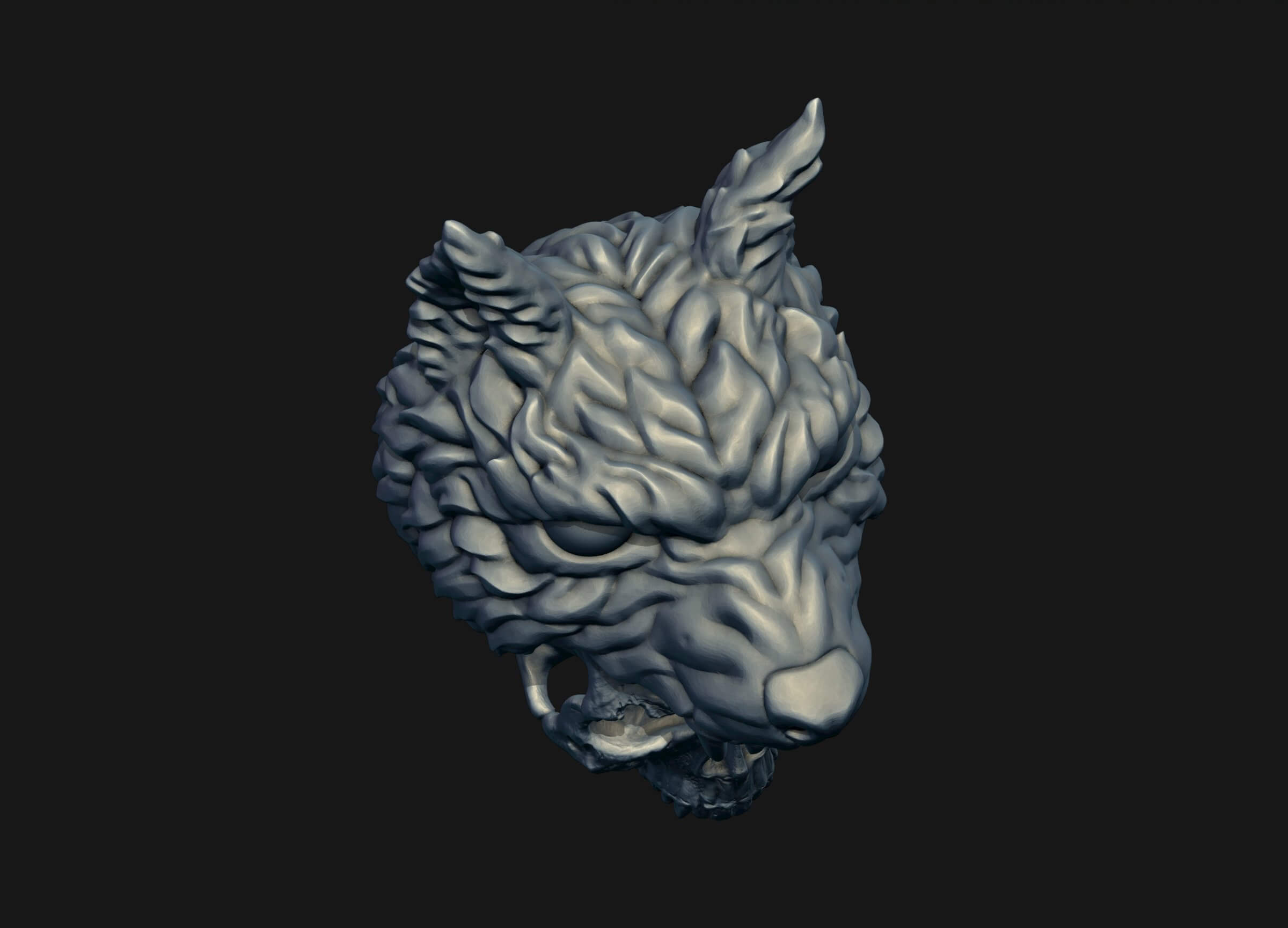 Skull Wolf Scalp - 3D Model by alexkovalev