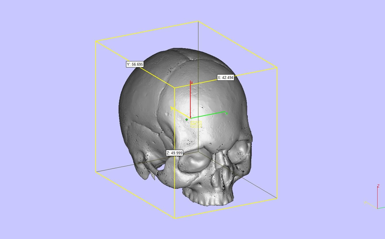 Skull - 3D Model by alexkovalev