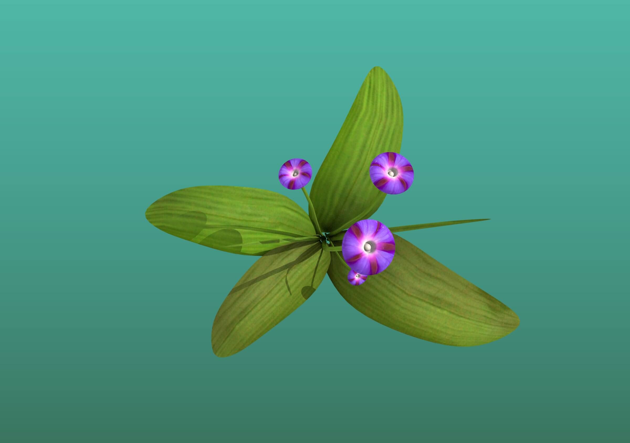Violet Flowers - 3D Model by alexkovalev