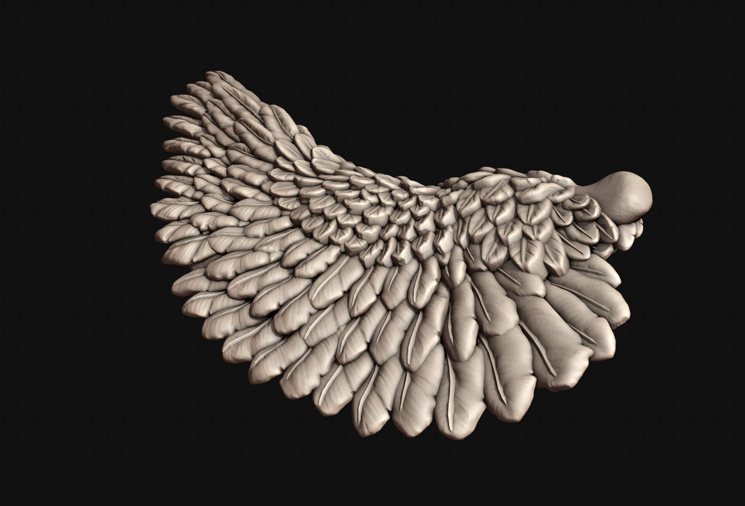 Wings Version 2 - 3D Model by alexkovalev