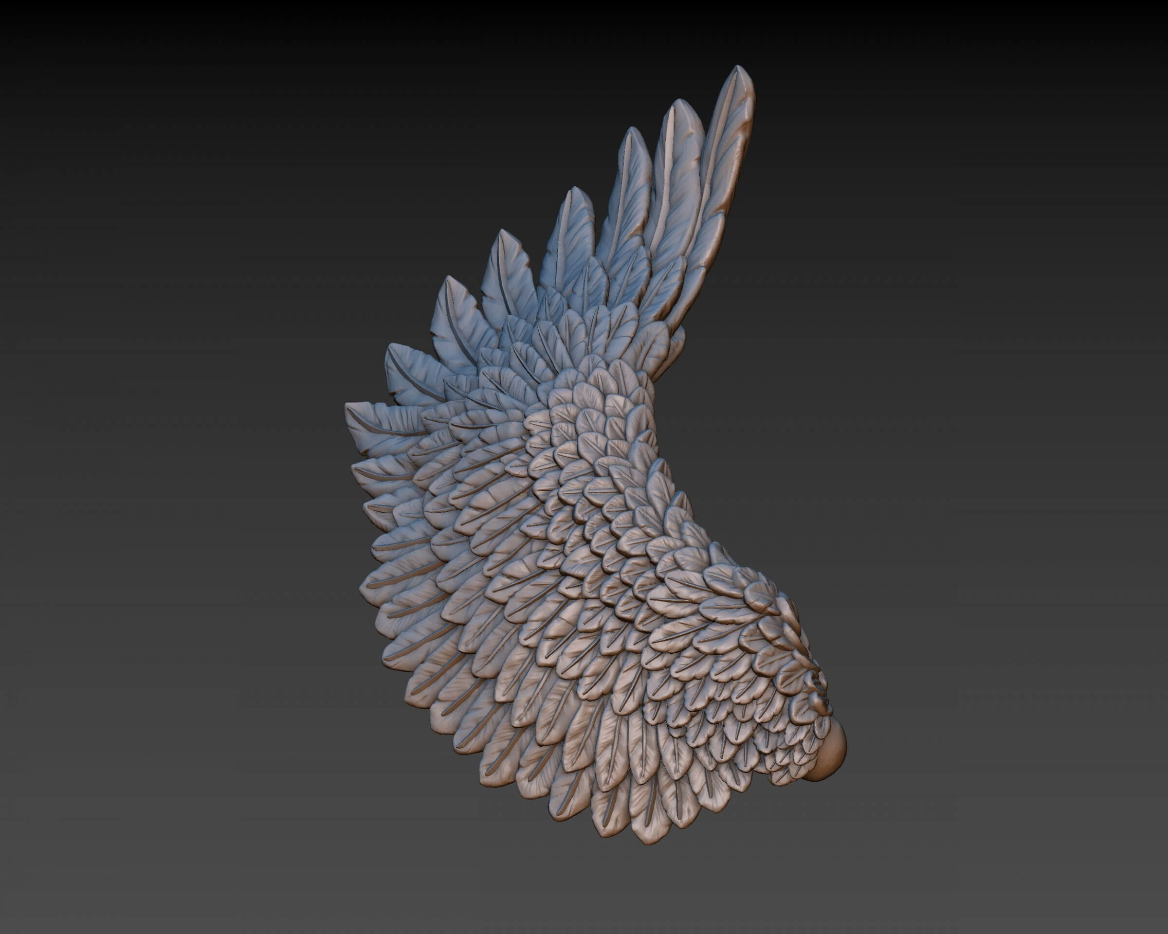 Wings - 3D Print Model by alexkovalev