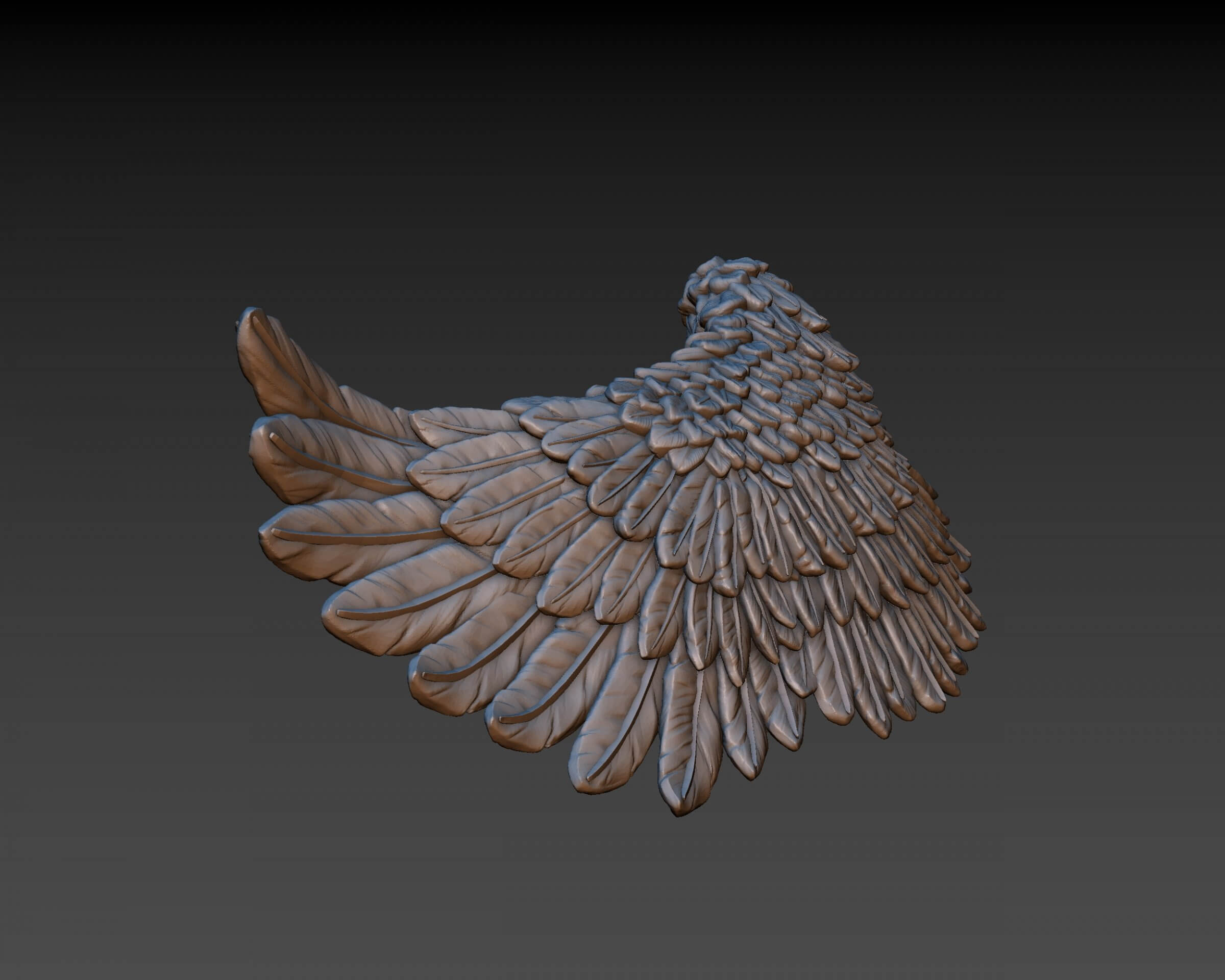 Wings - 3D Print Model by alexkovalev