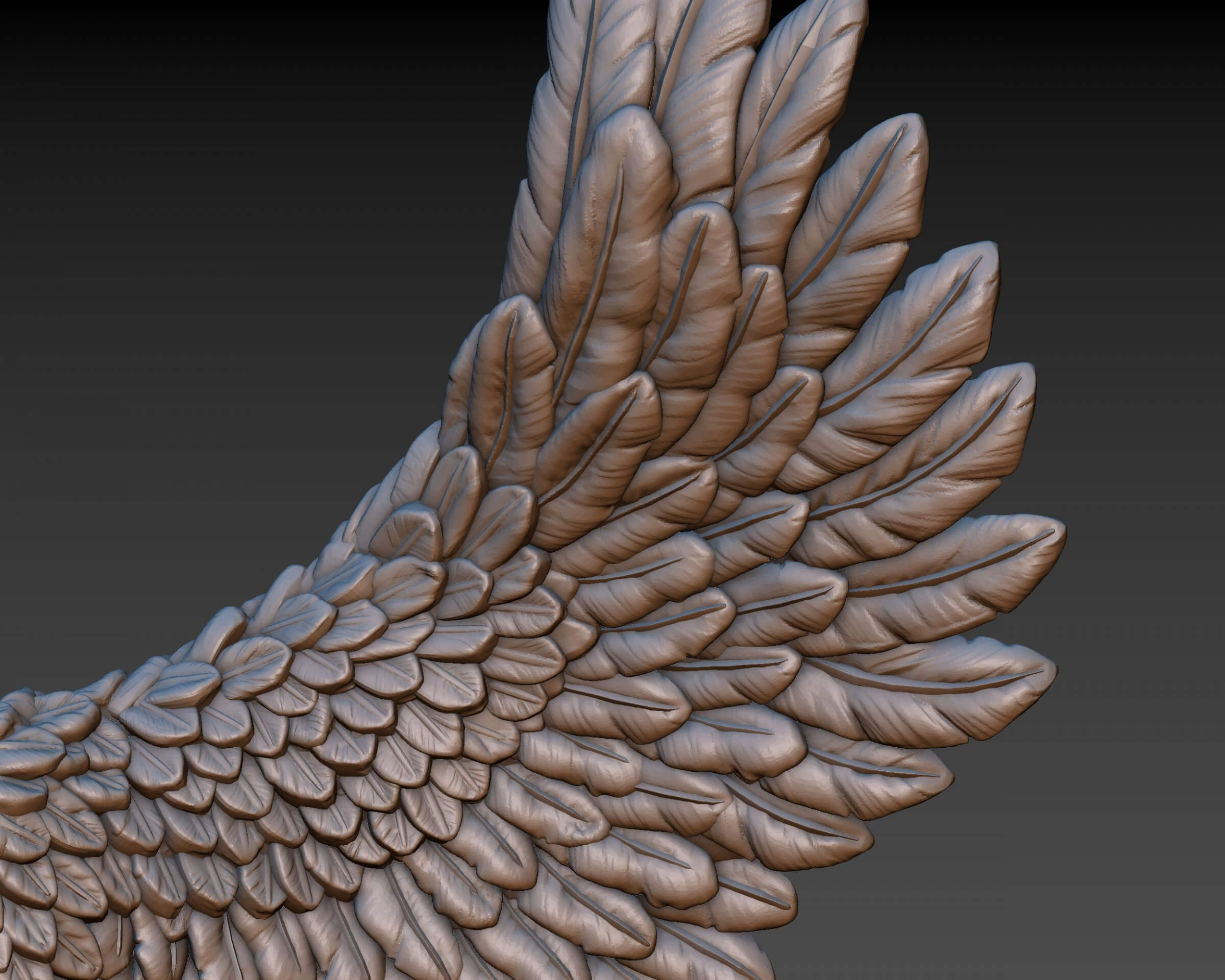Wings - 3D Print Model by alexkovalev