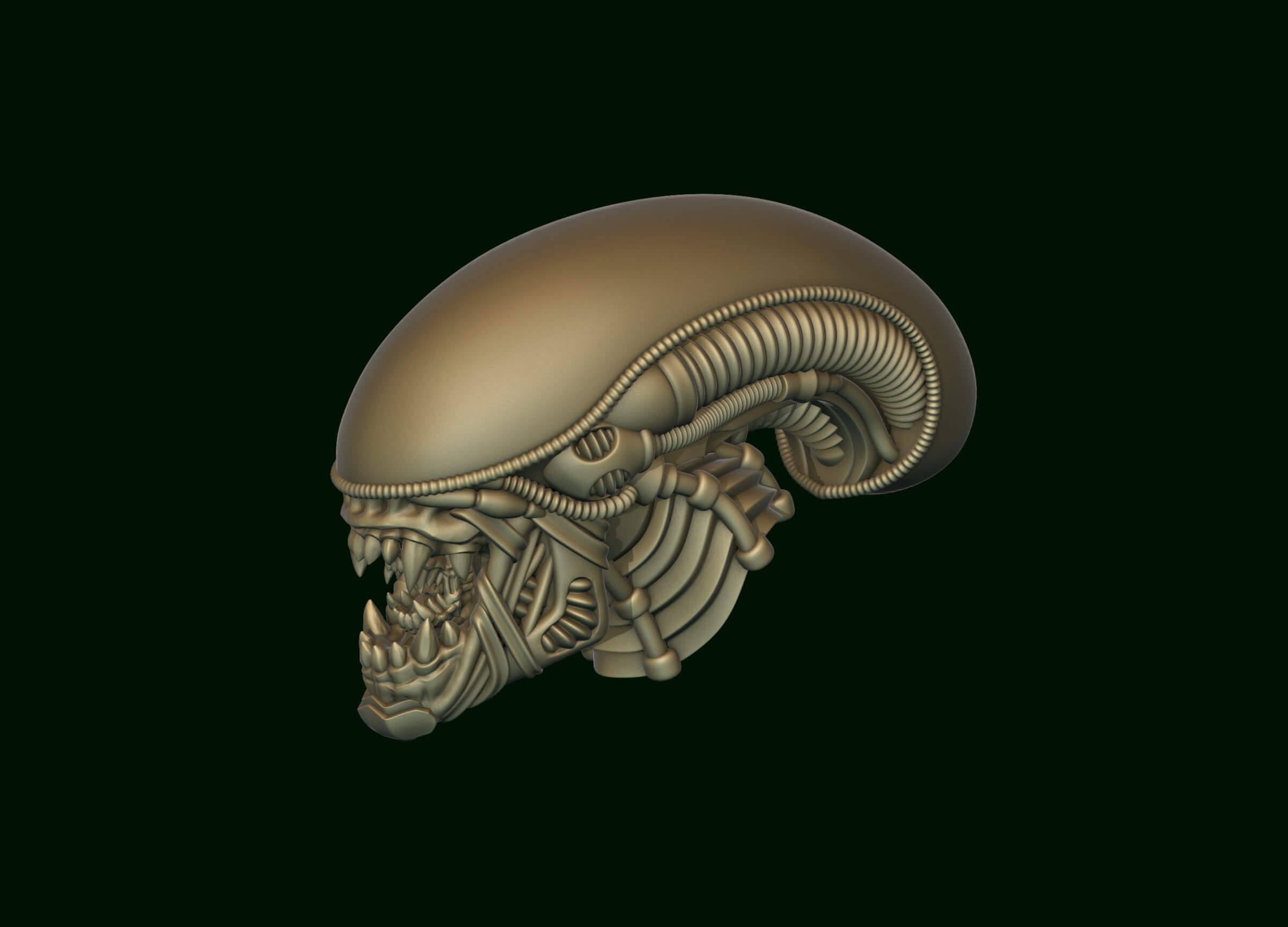 Xenomorph Alien Biomechanical Head - 3D Model by alexkovalev