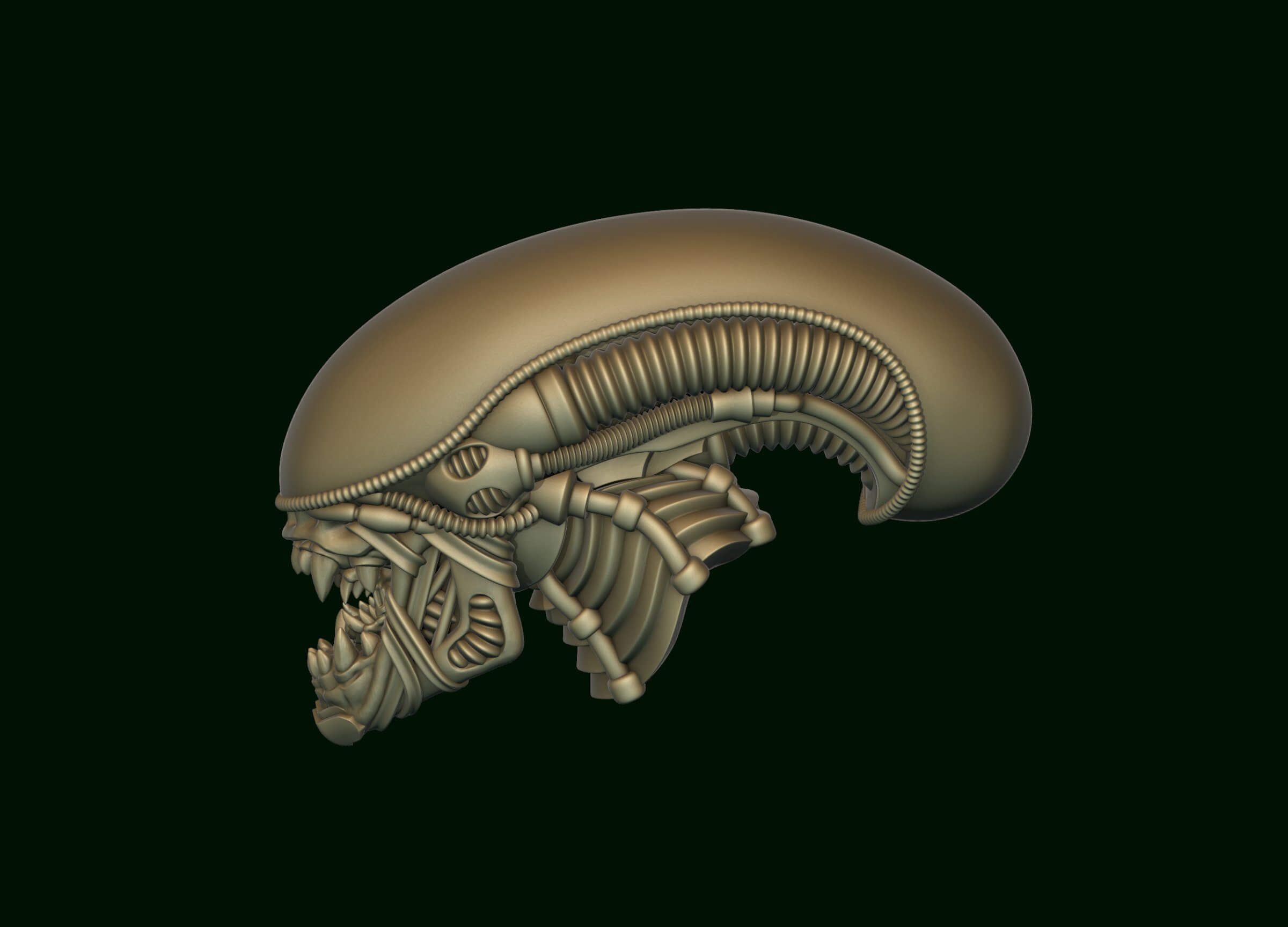 Xenomorph Alien Biomechanical Head - 3D Model by alexkovalev