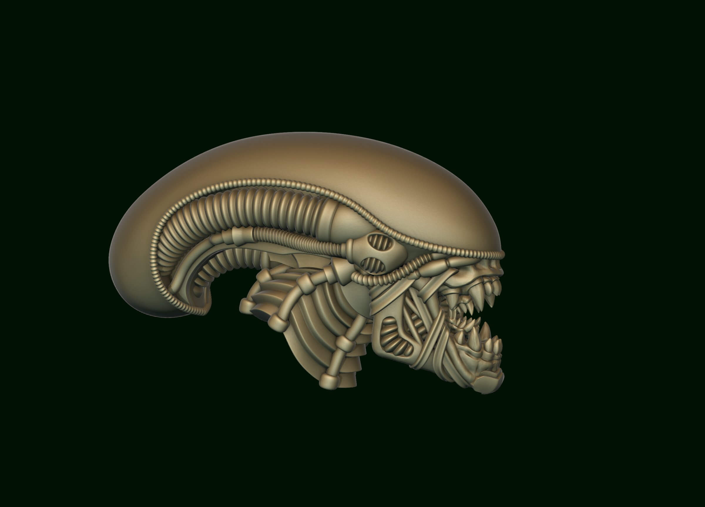 Xenomorph Alien Biomechanical Head - 3D Model by alexkovalev