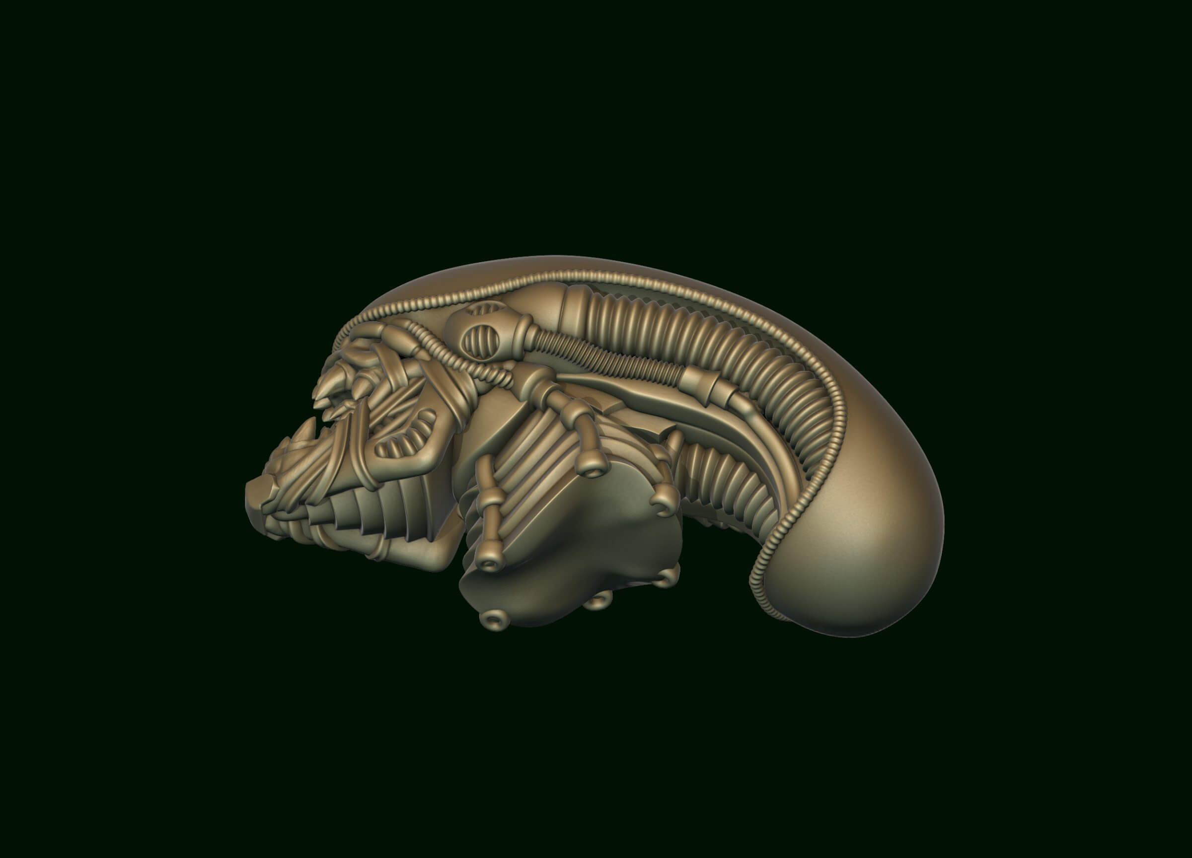 Xenomorph Alien Biomechanical Head - 3D Model by alexkovalev