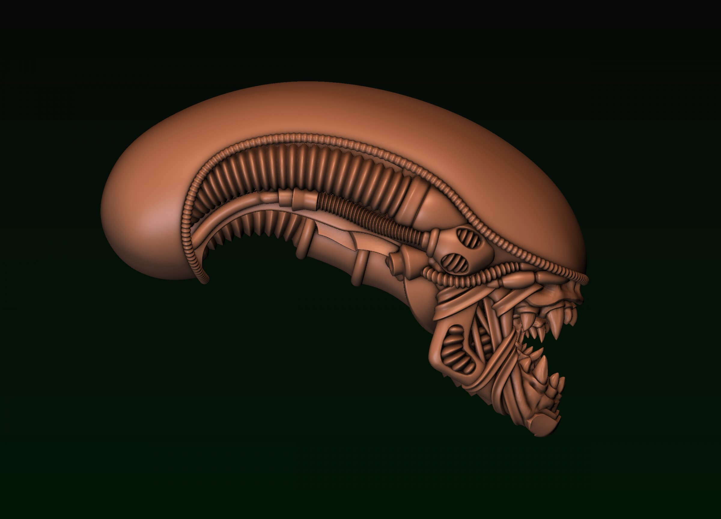 Xenomorph Alien Biomechanical Head - 3D Model by alexkovalev