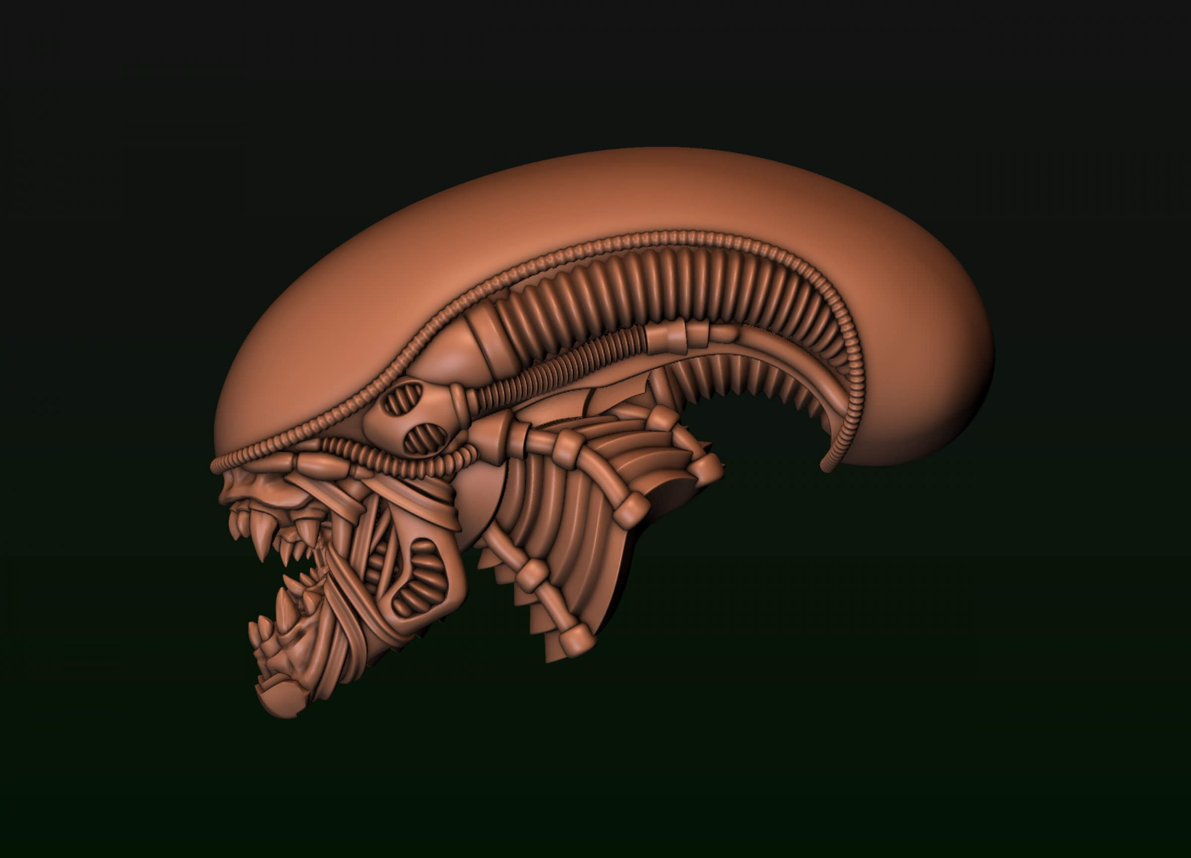 Xenomorph Alien Biomechanical Head - 3D Model by alexkovalev