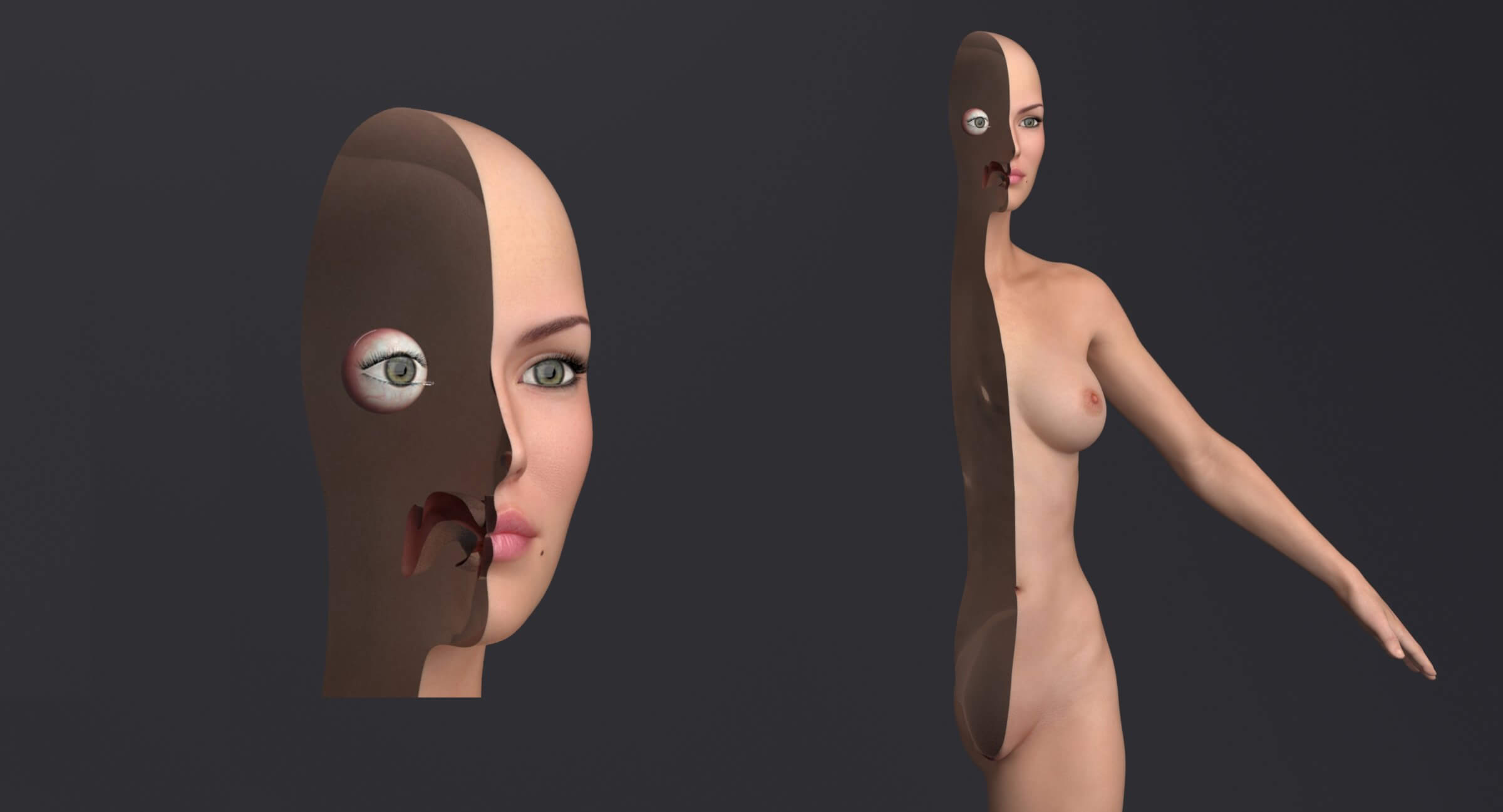 Lara II - 3D Model by Alias3d