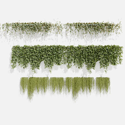 Ivy Plant climbing - 3D Model by alirezamoarrefi