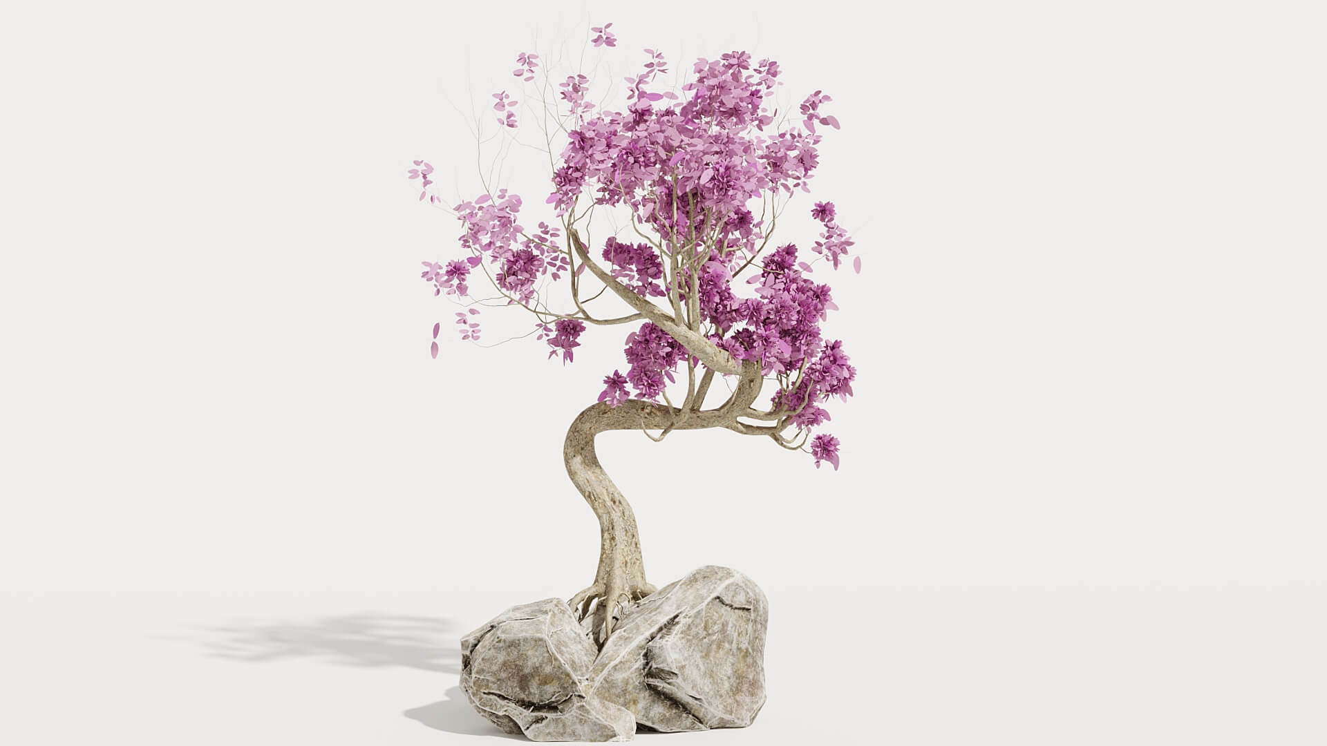 Japanese Bonsai Tree - 3D Model by alirezamoarrefi