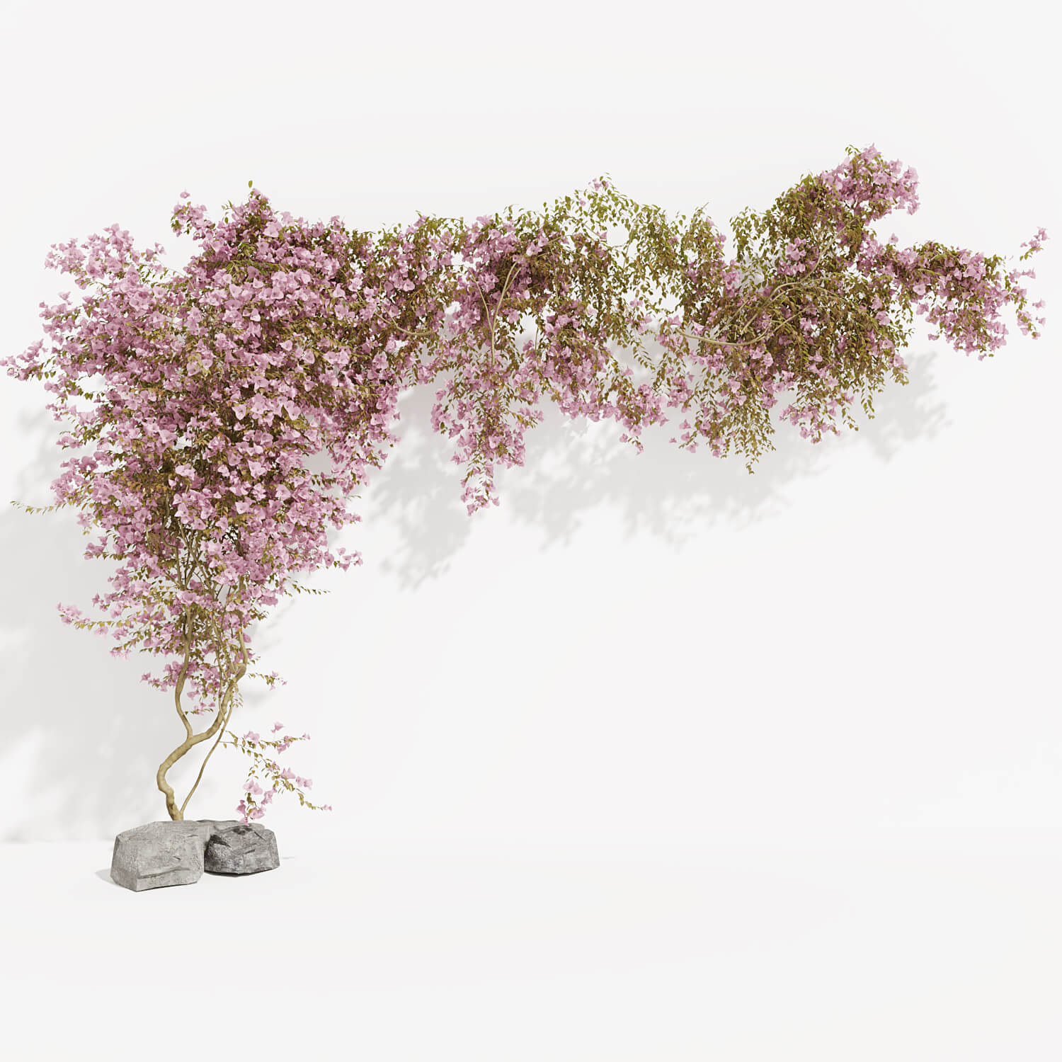 Pink Plant Tree - 3D Model by alirezamoarrefi