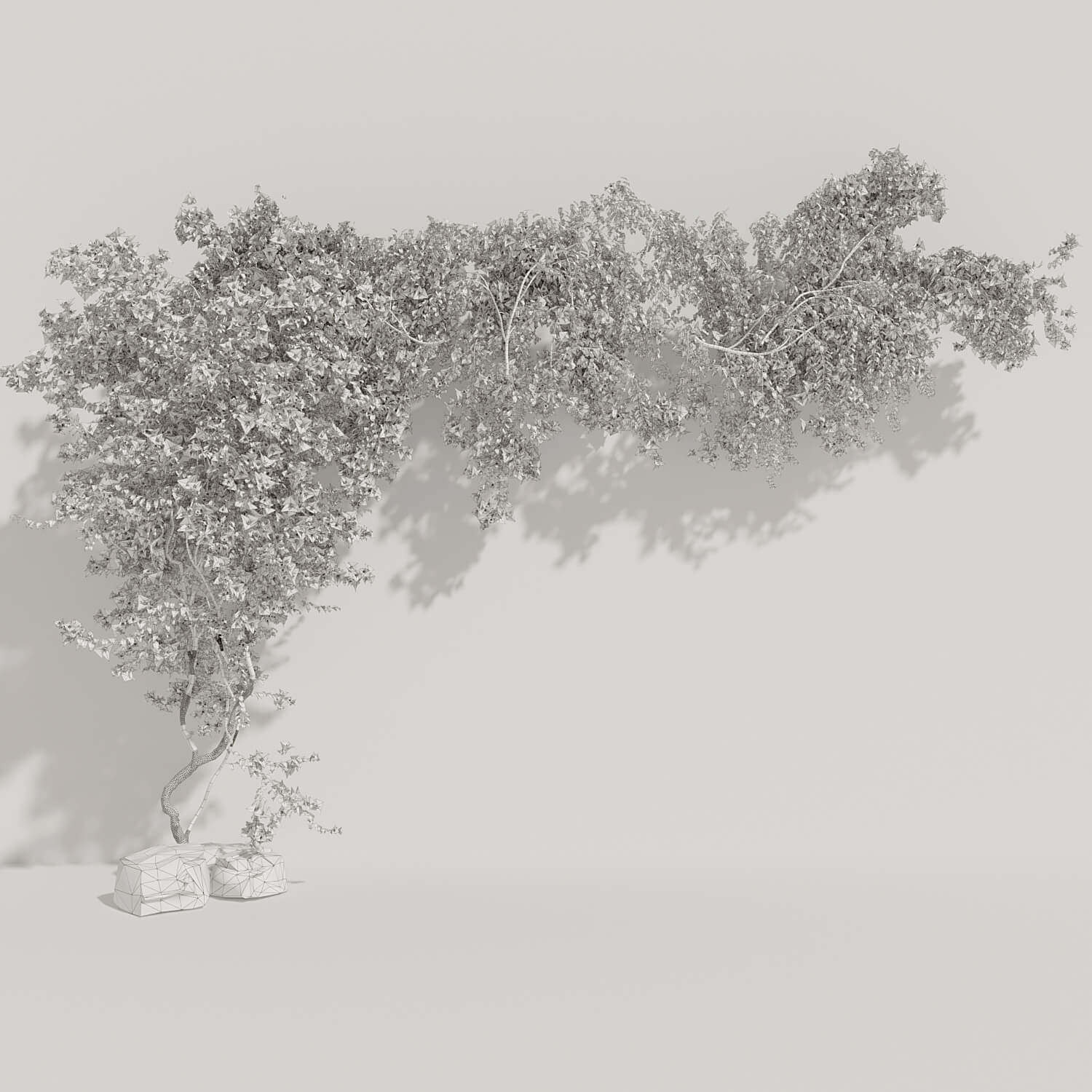 Pink Plant Tree - 3D Model by alirezamoarrefi