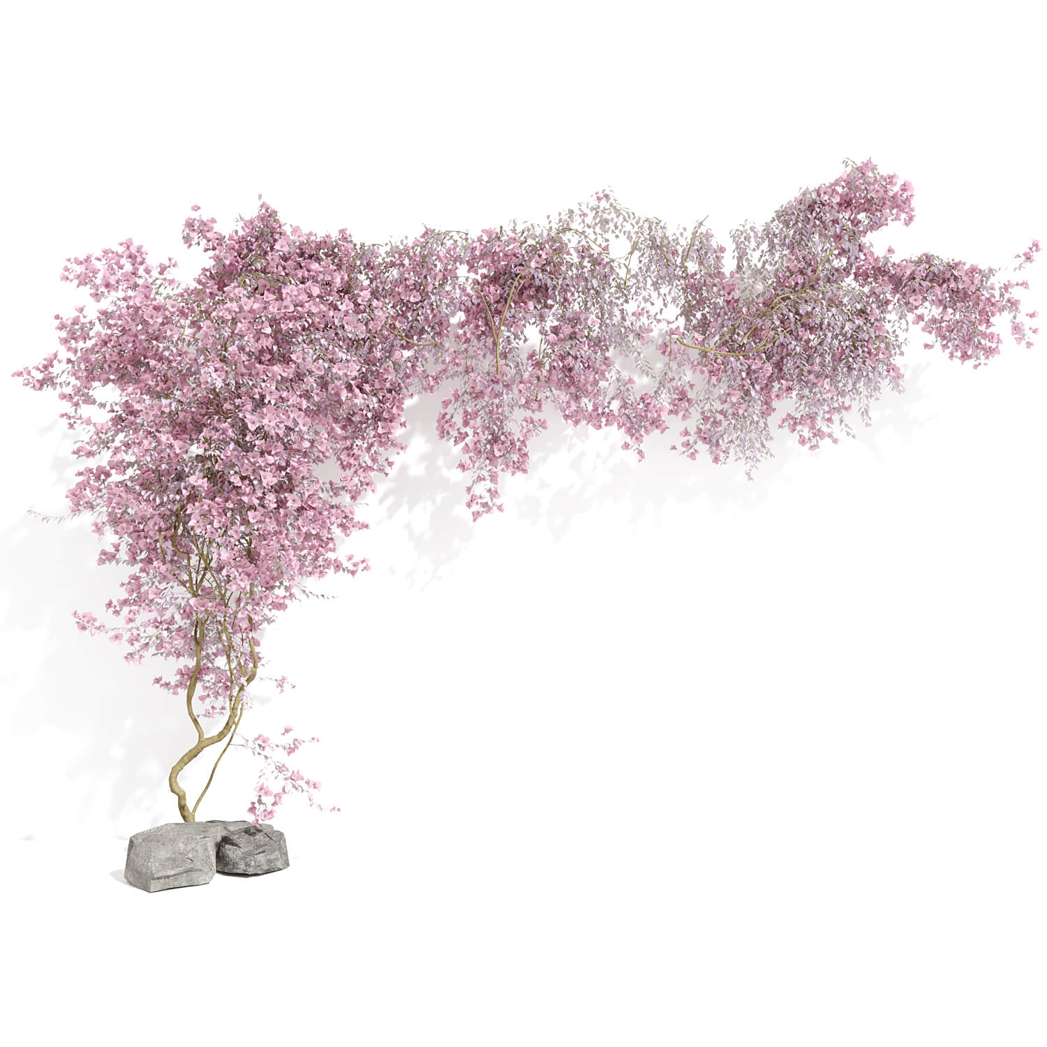 Pink Plant Tree - 3D Model by alirezamoarrefi