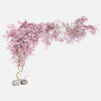 Pink Plant Tree - 3D Model by alirezamoarrefi