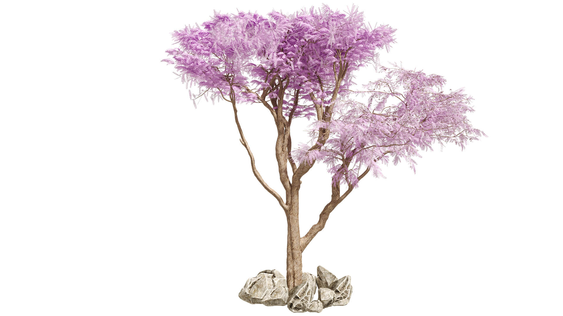 Tree Pink Autumn - 3D Model by alirezamoarrefi