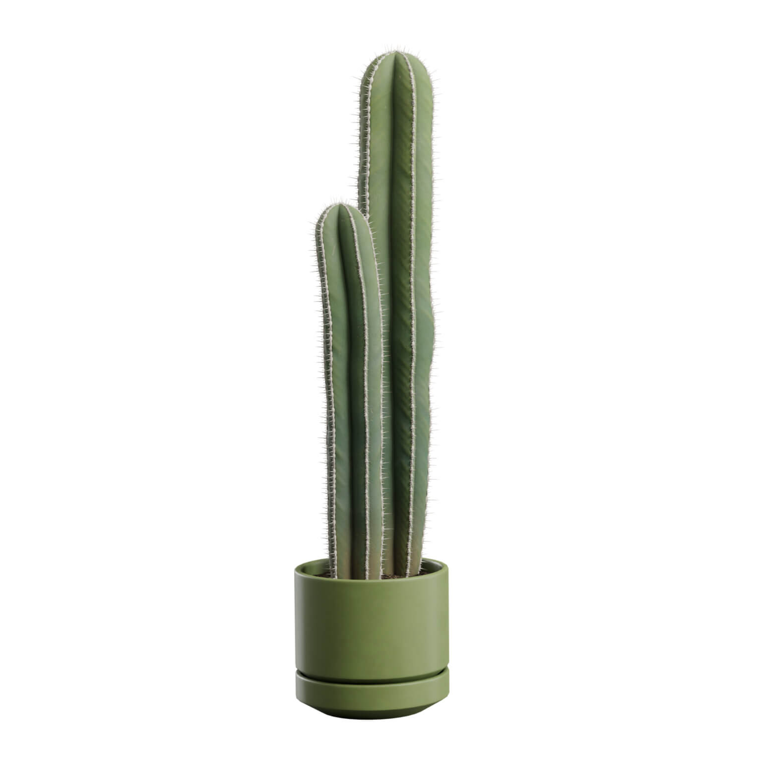 Cactus Pack 02 - 3D Model by AllQuad