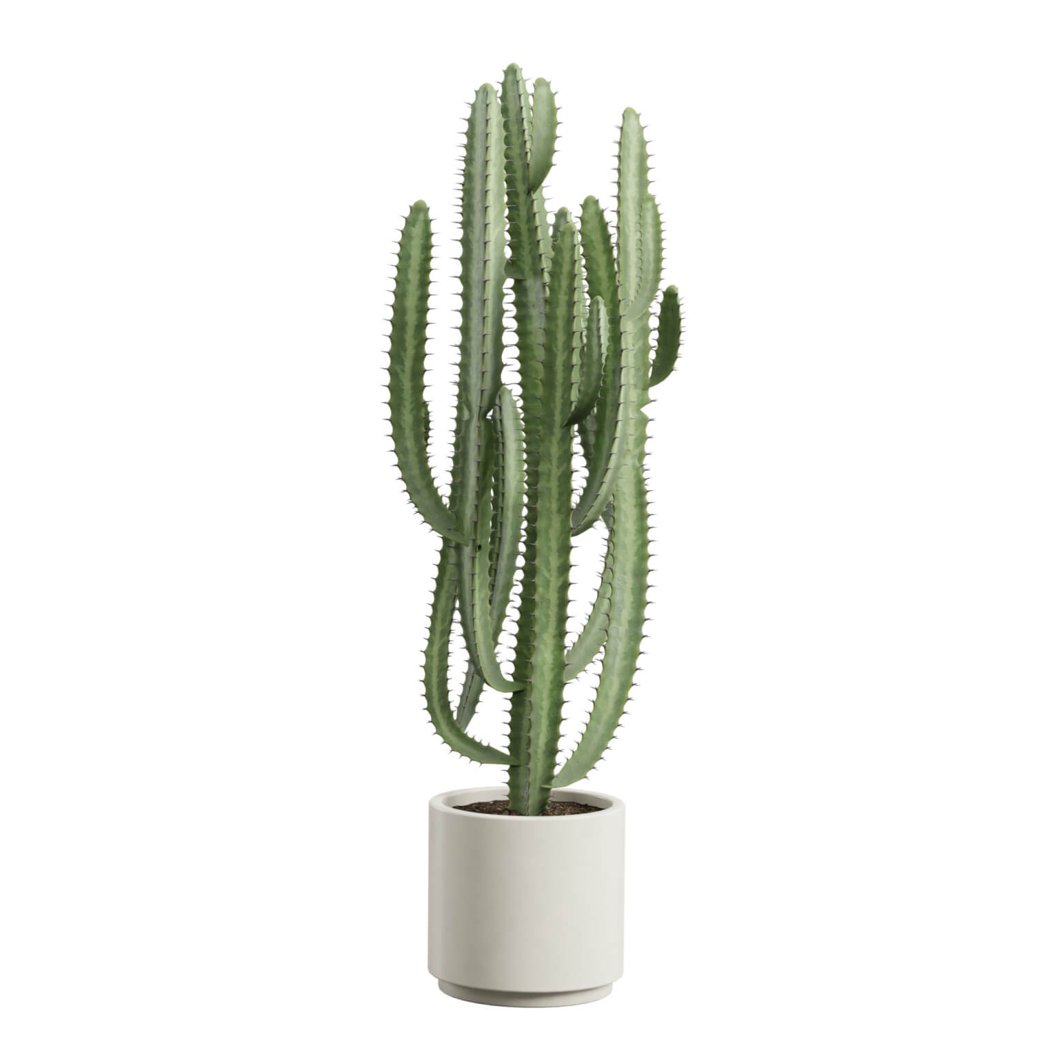 Cactus Pack 02 - 3D Model by AllQuad