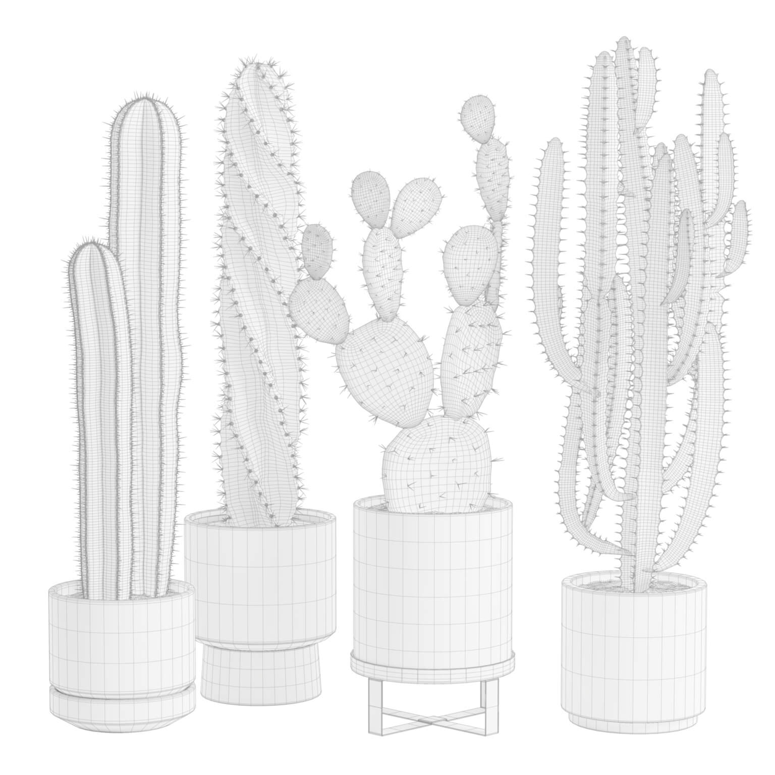 Cactus Pack 02 - 3D Model by AllQuad