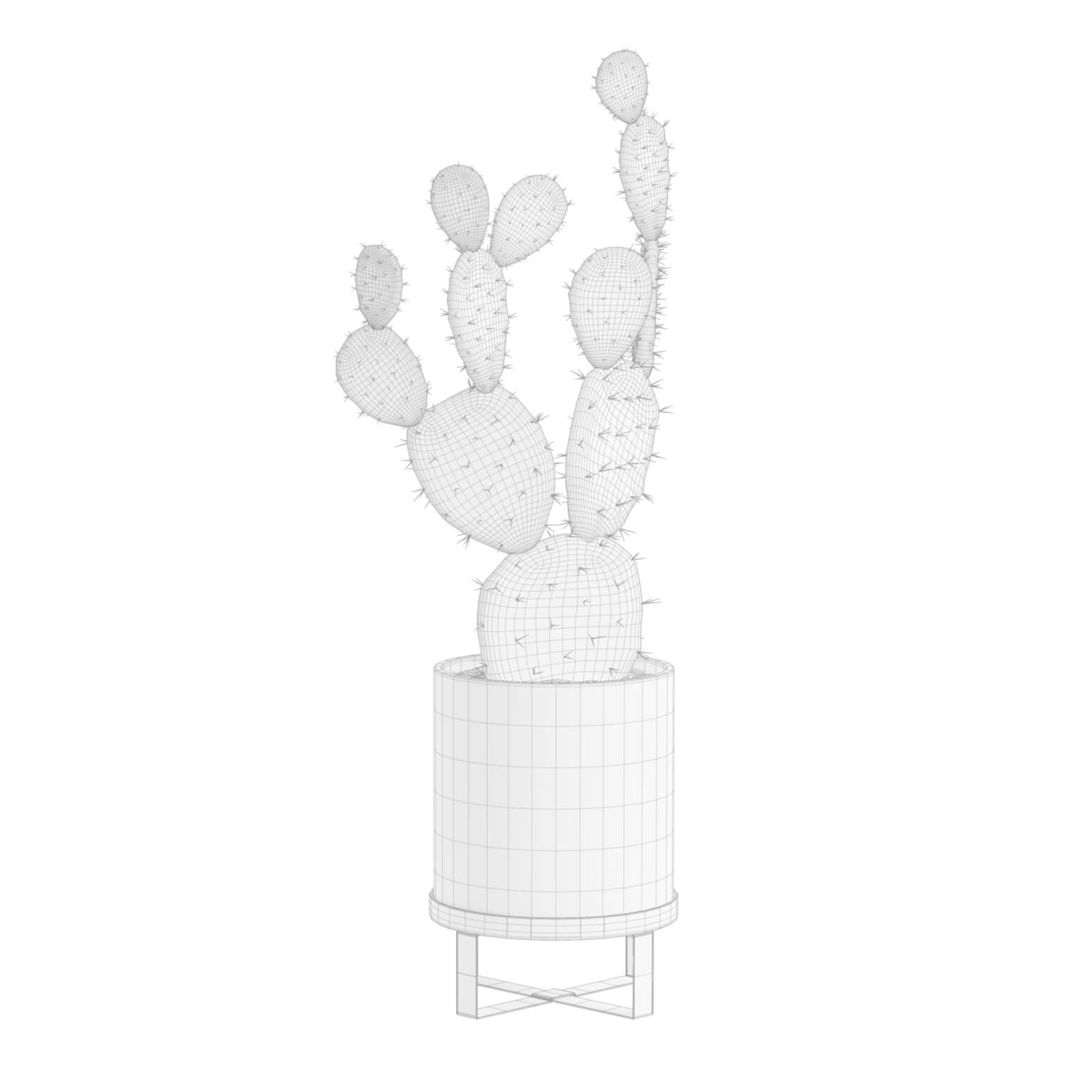 Cactus Pack 02 - 3D Model by AllQuad