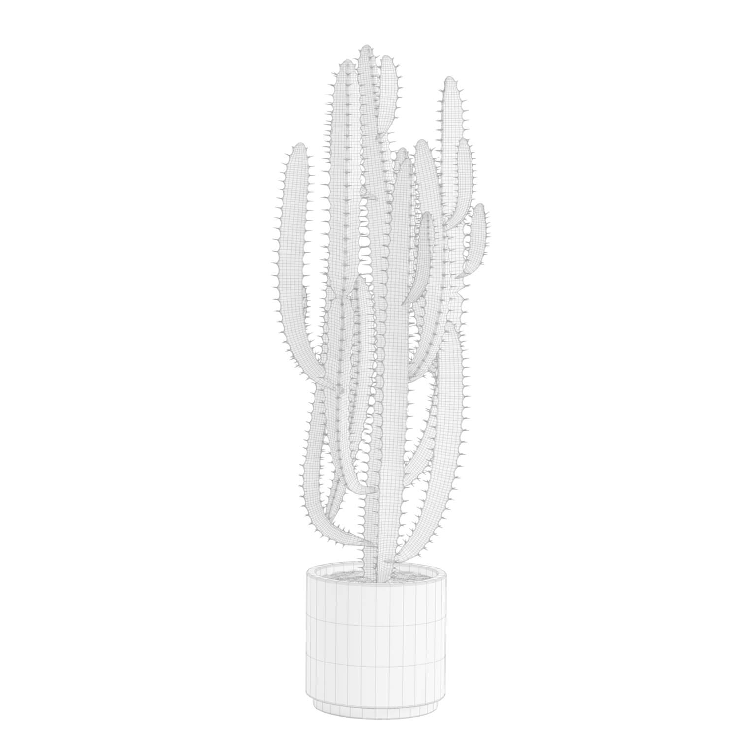 Cactus Pack 02 - 3D Model by AllQuad