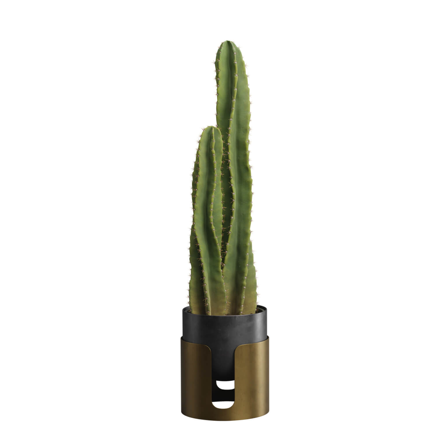 Cactus Pack 04 - 3D Model by AllQuad
