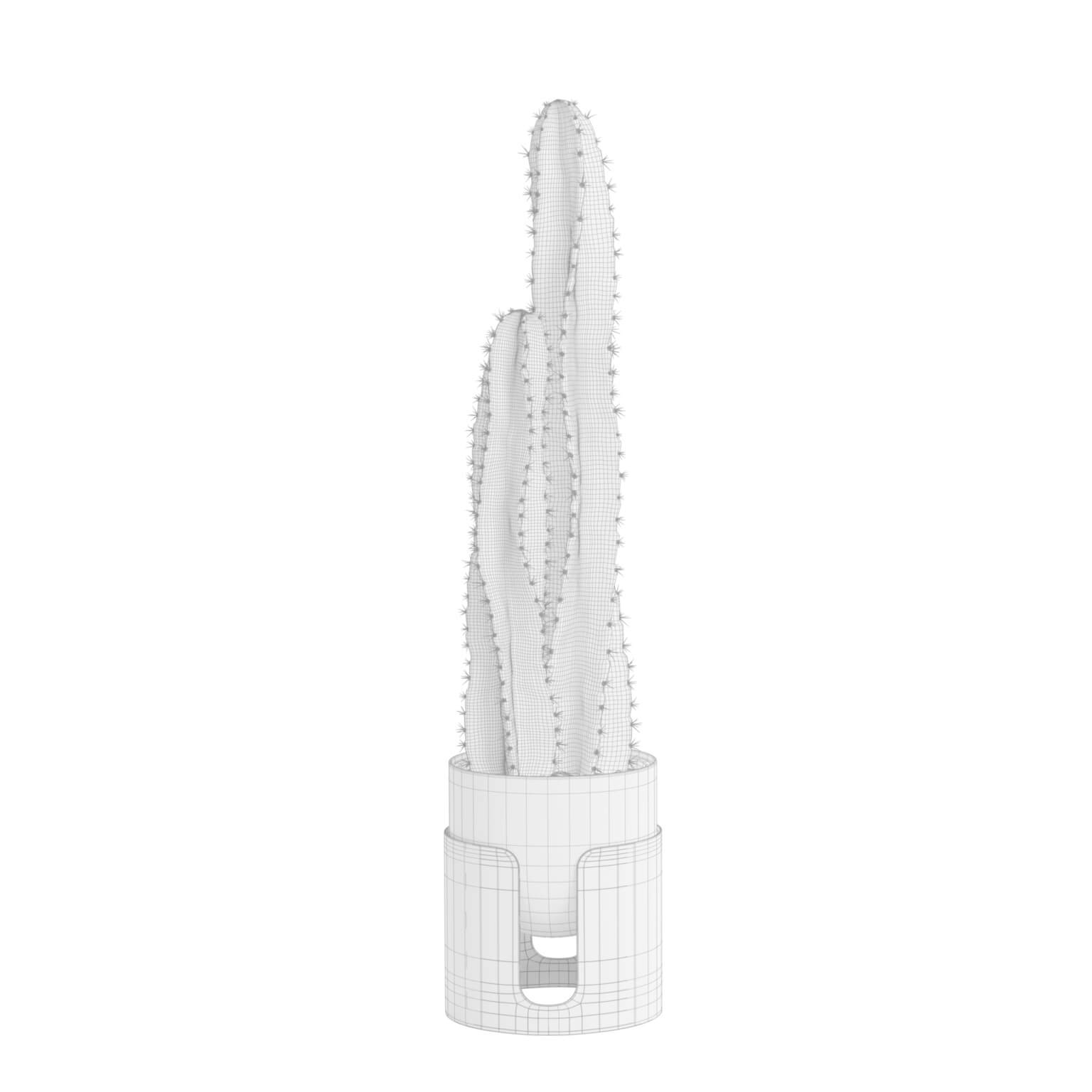 Cactus Pack 04 - 3D Model by AllQuad