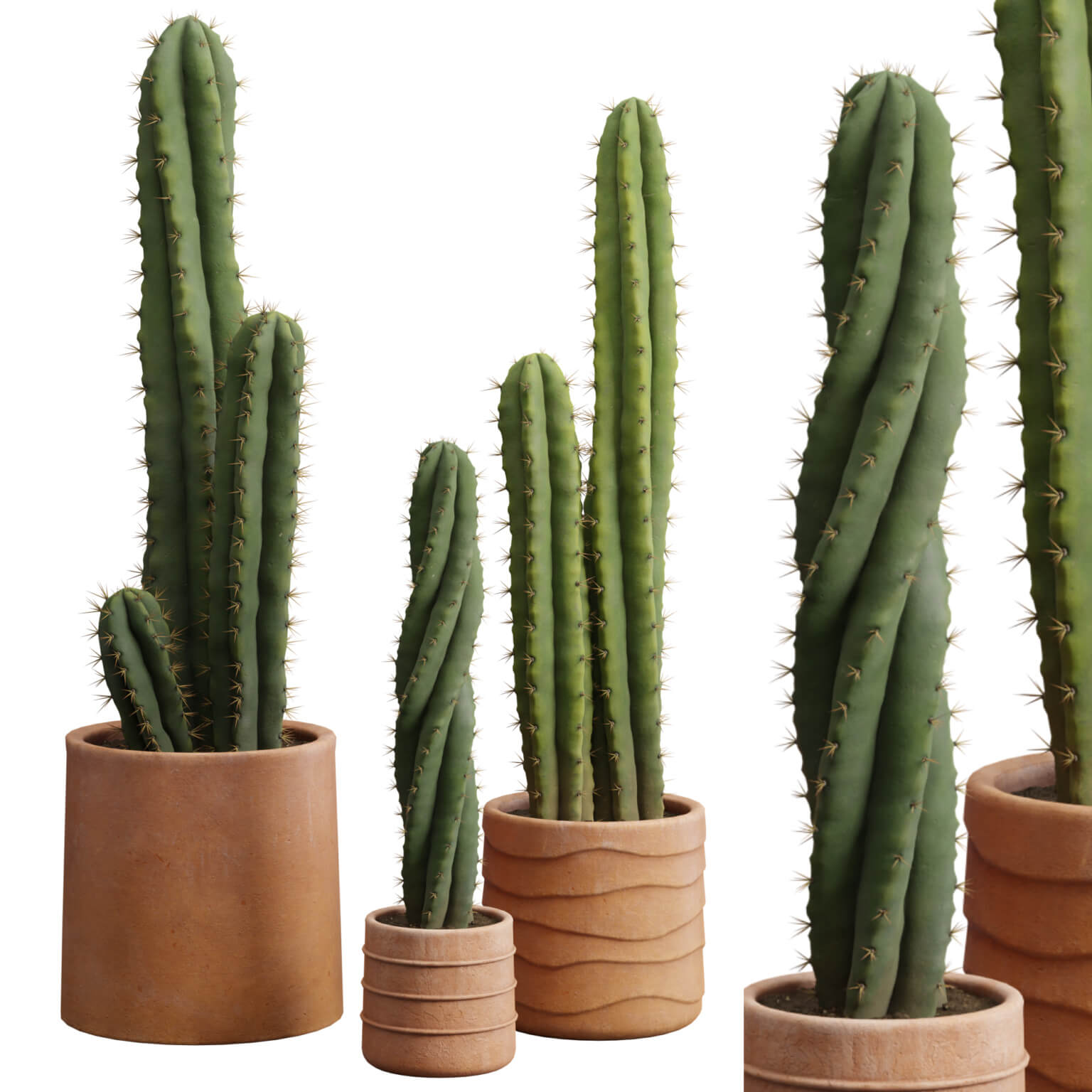 Cactus Pack Terracotta - 3D Model by AllQuad