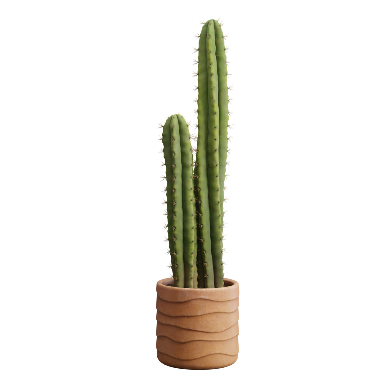 Cactus Pack Terracotta - 3D Model by AllQuad