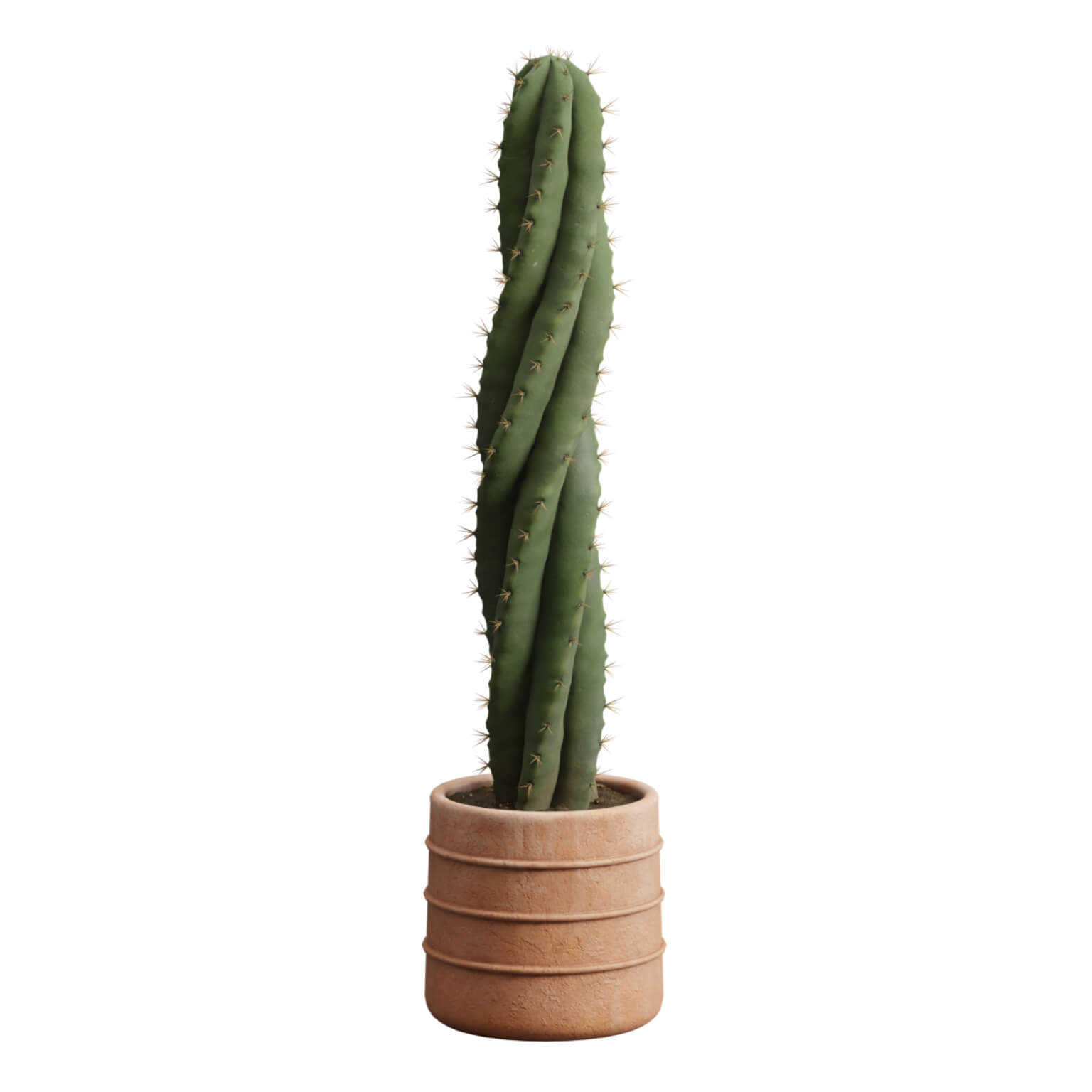 Cactus Pack Terracotta - 3D Model by AllQuad