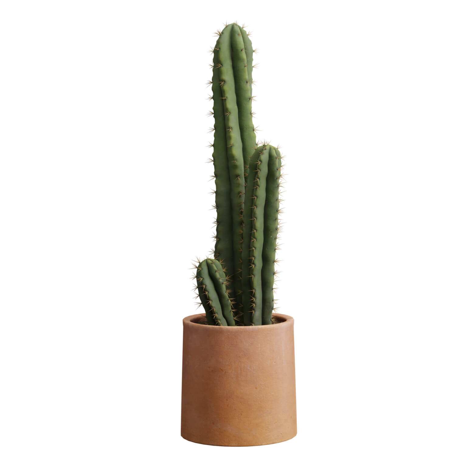 Cactus Pack Terracotta - 3D Model by AllQuad