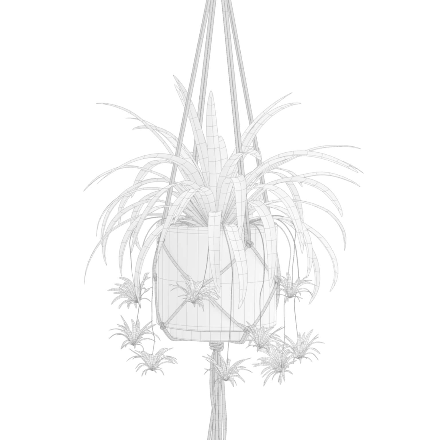 Hanging Plants 01 - 3D Model by AllQuad