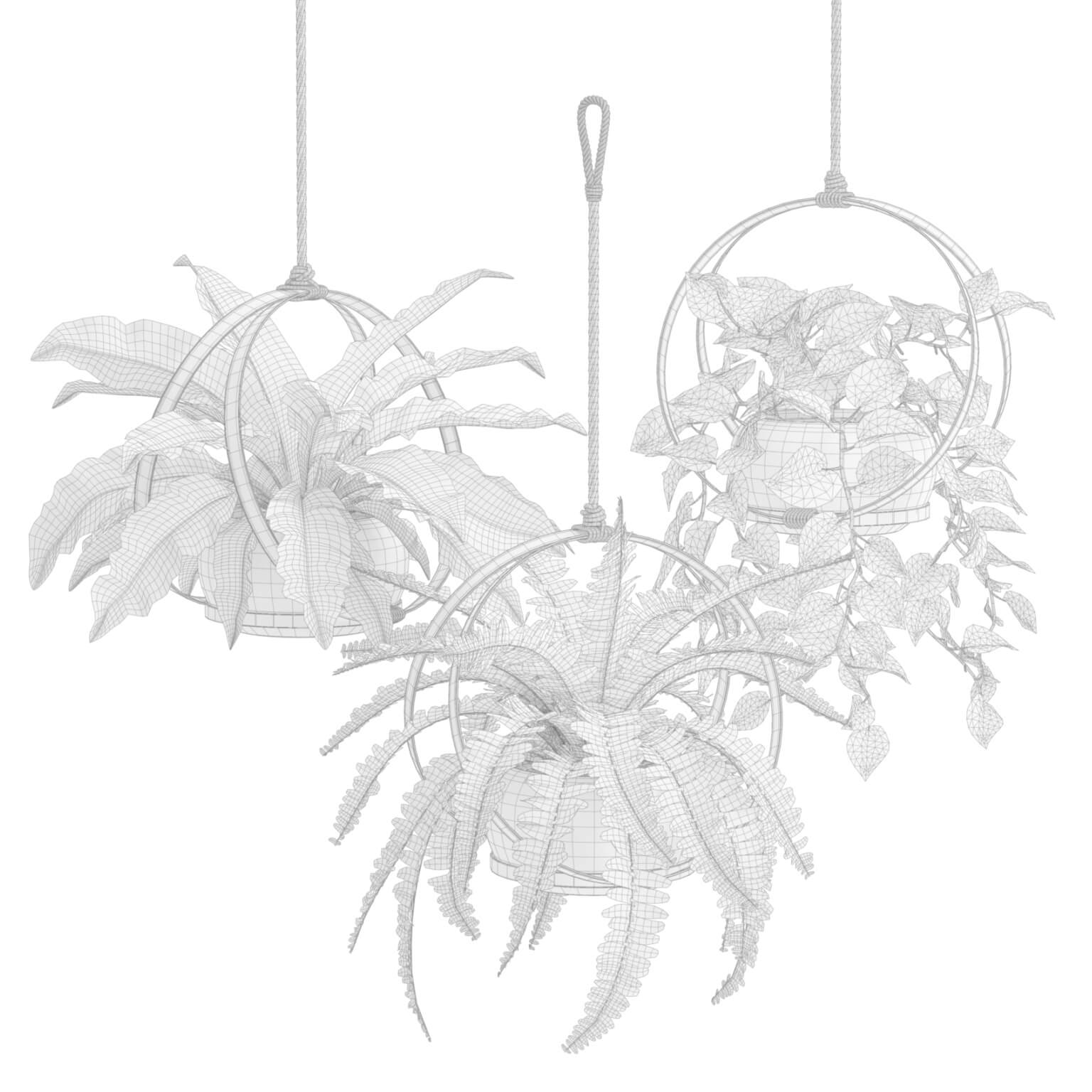 Hanging Plants 02 - 3D Model by AllQuad