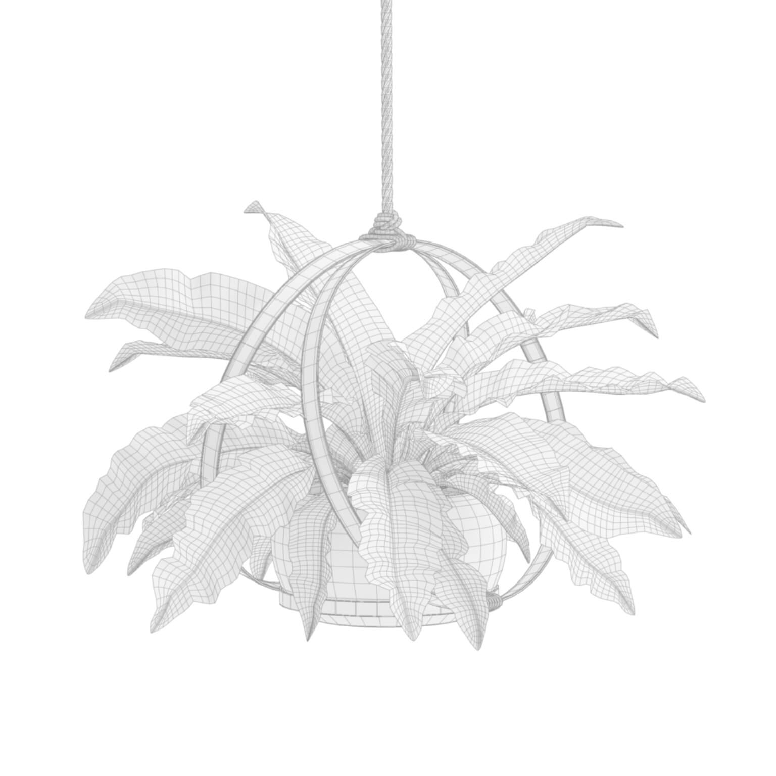 Hanging Plants 02 - 3D Model by AllQuad